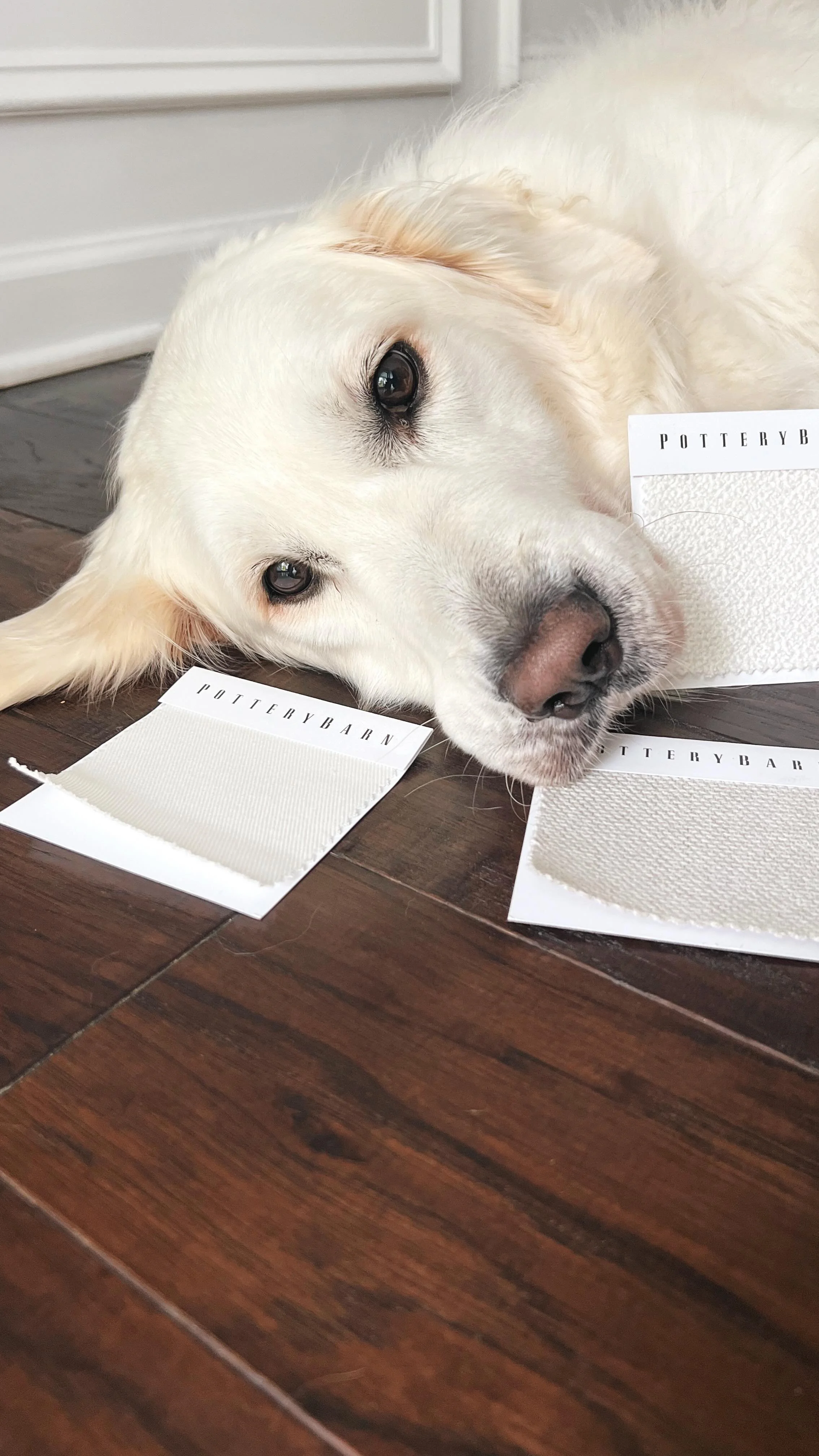 Designs of the Week :: Modern Classic Living Room Designs — Porche & Co.