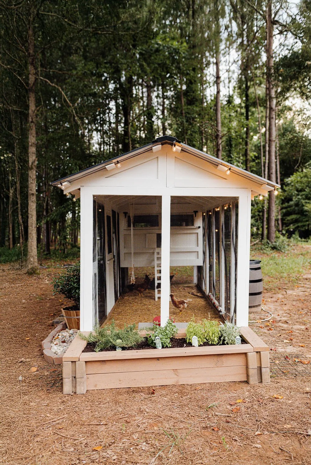 Our Dream Chicken Coop with Carolina Coop — Porche & Co.