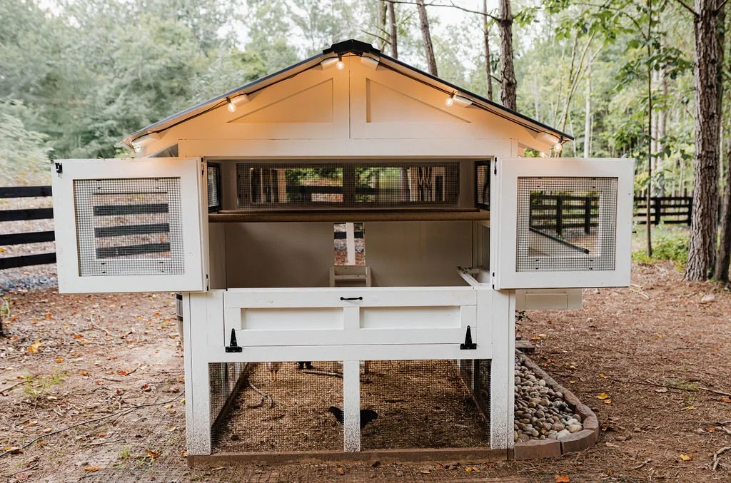 Our Dream Chicken Coop with Carolina Coop — Porche & Co.