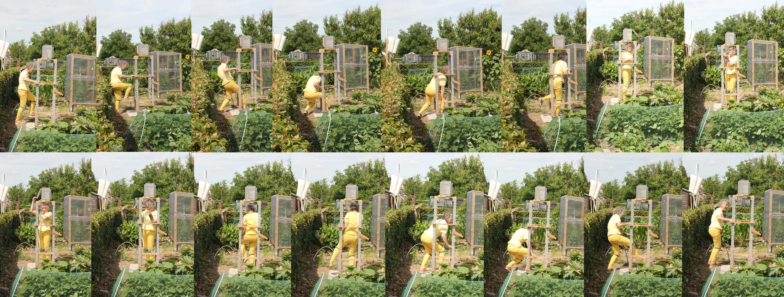 Geertsen Frieda de rest — Geertsen Frieda