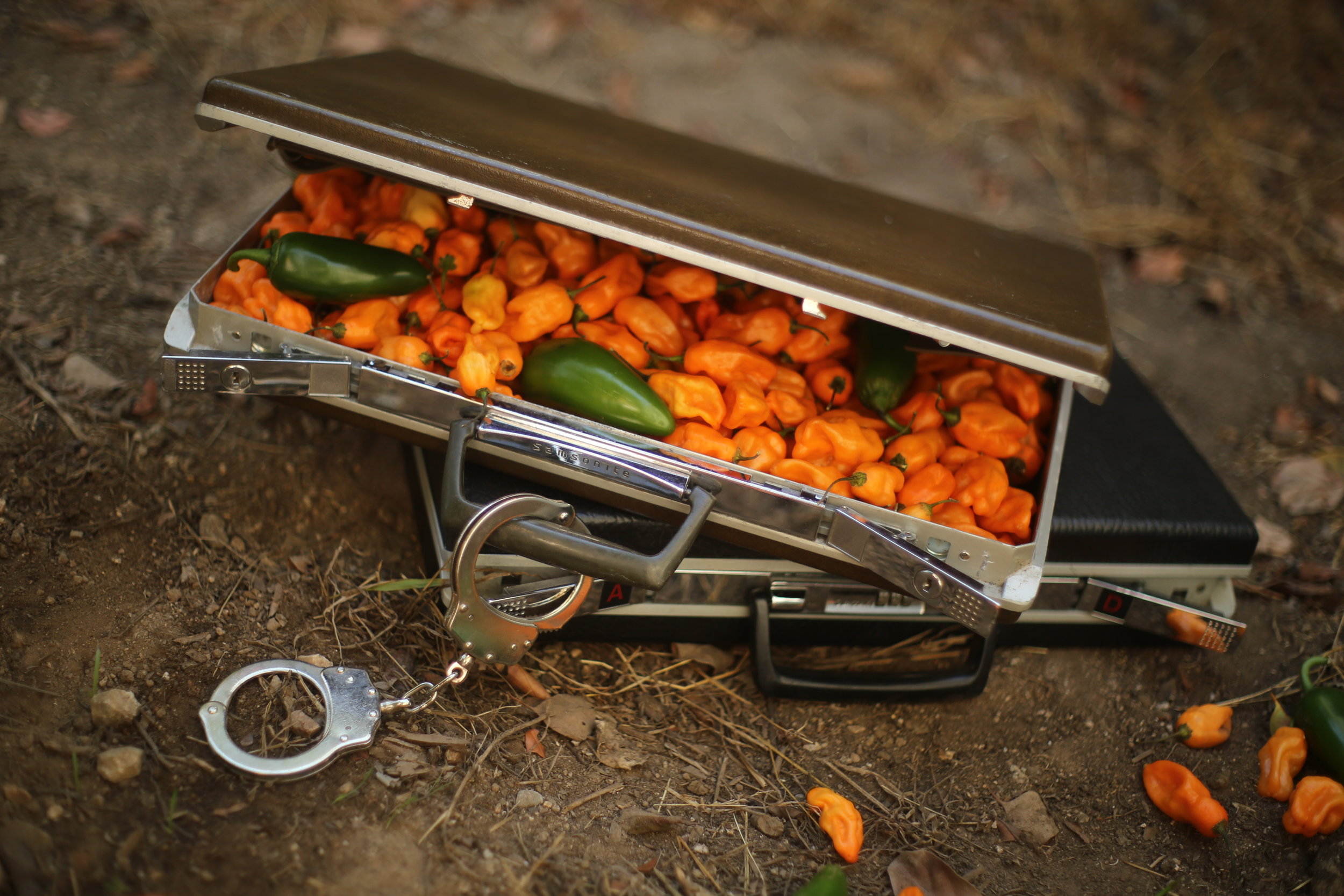 About — Kill Sauce