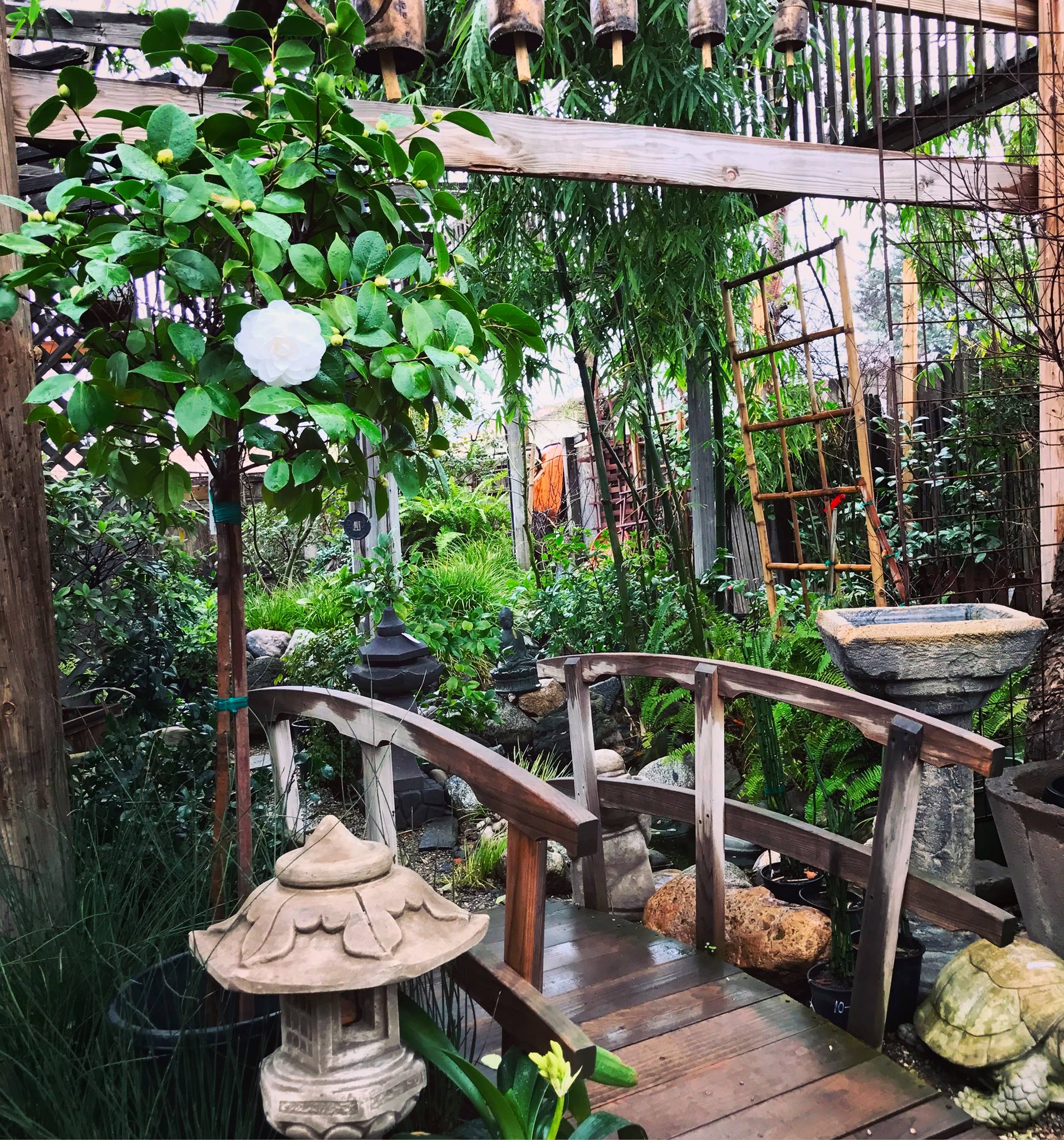 Secret Garden
