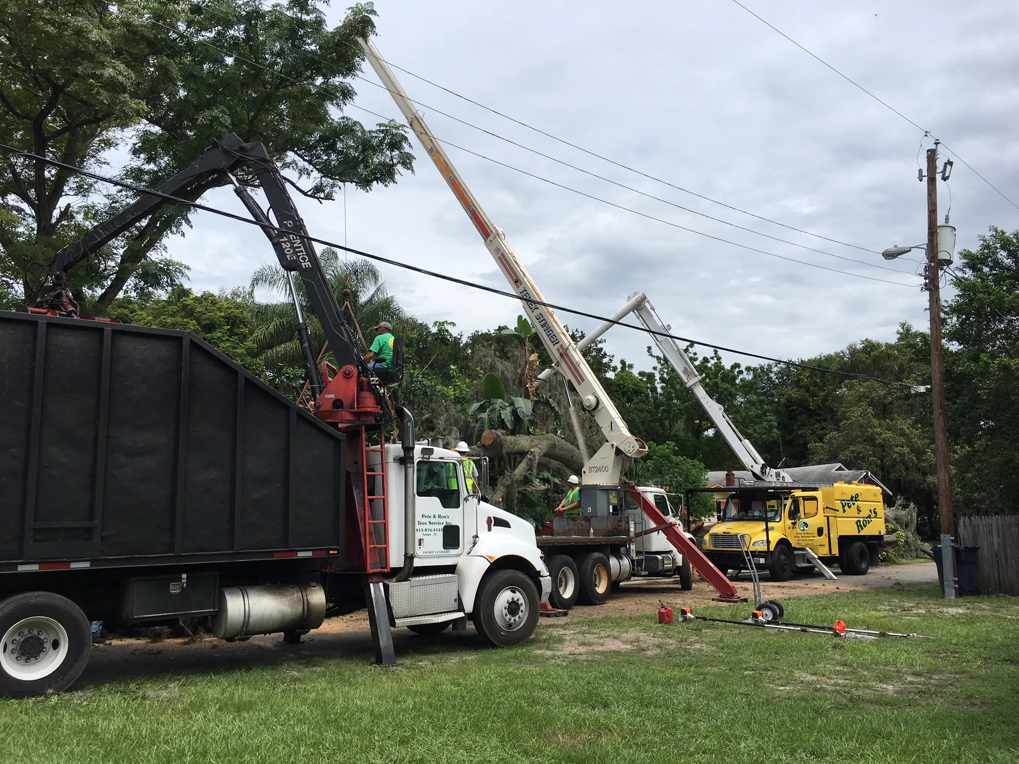 Pete & Ron's Tree Service