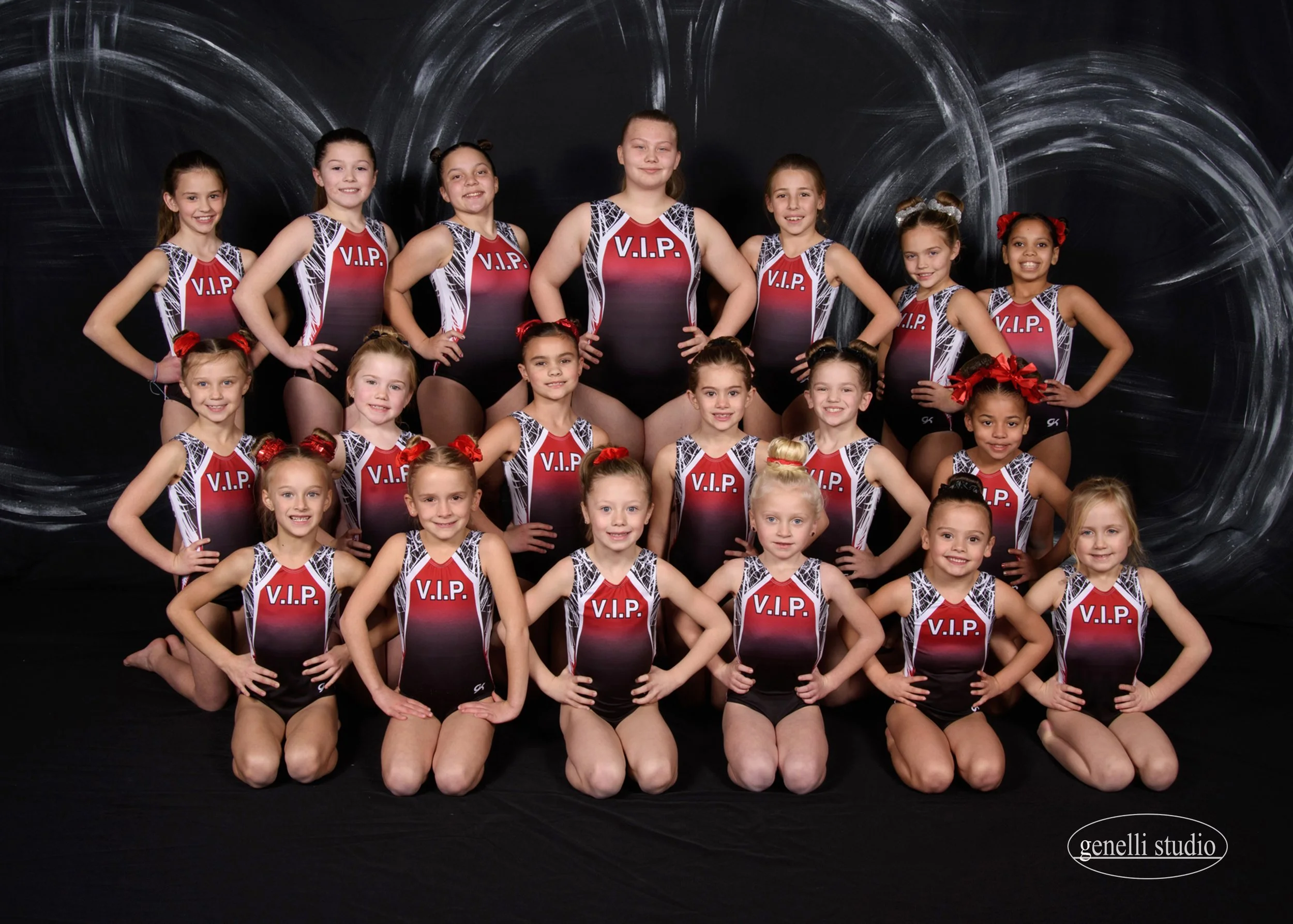 Team Gymnastics — V.I.P. Gymnastics, Ninja, and Cheer