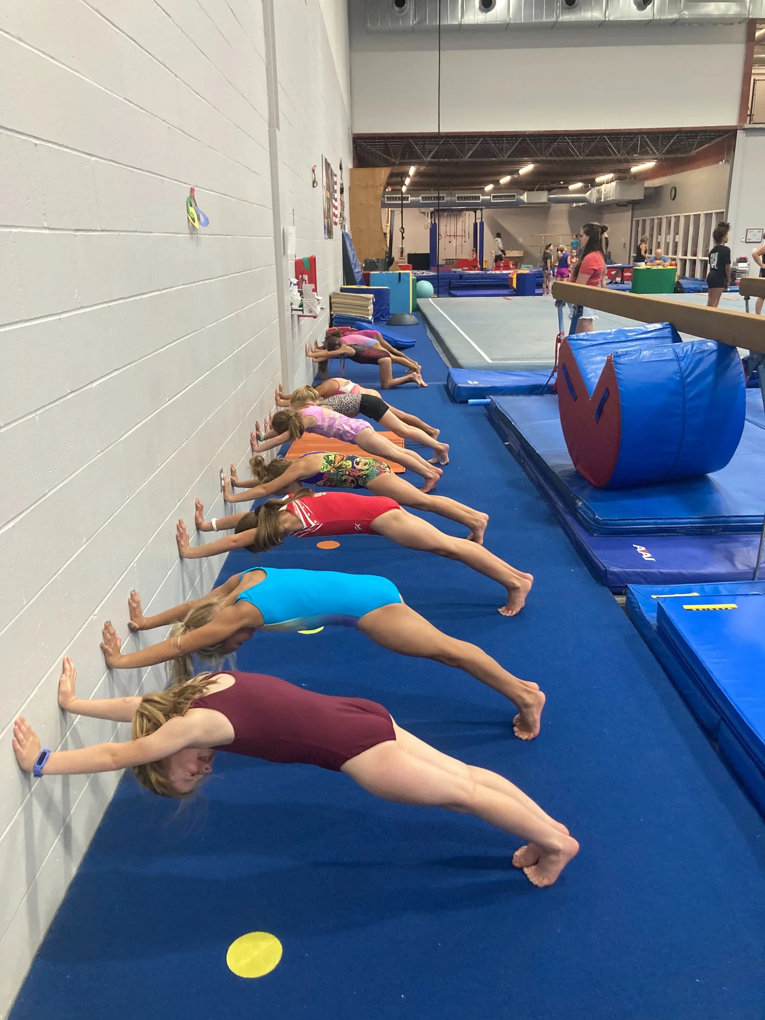 Recreational Gymnastics — V.I.P. Gymnastics, Ninja, and Cheer