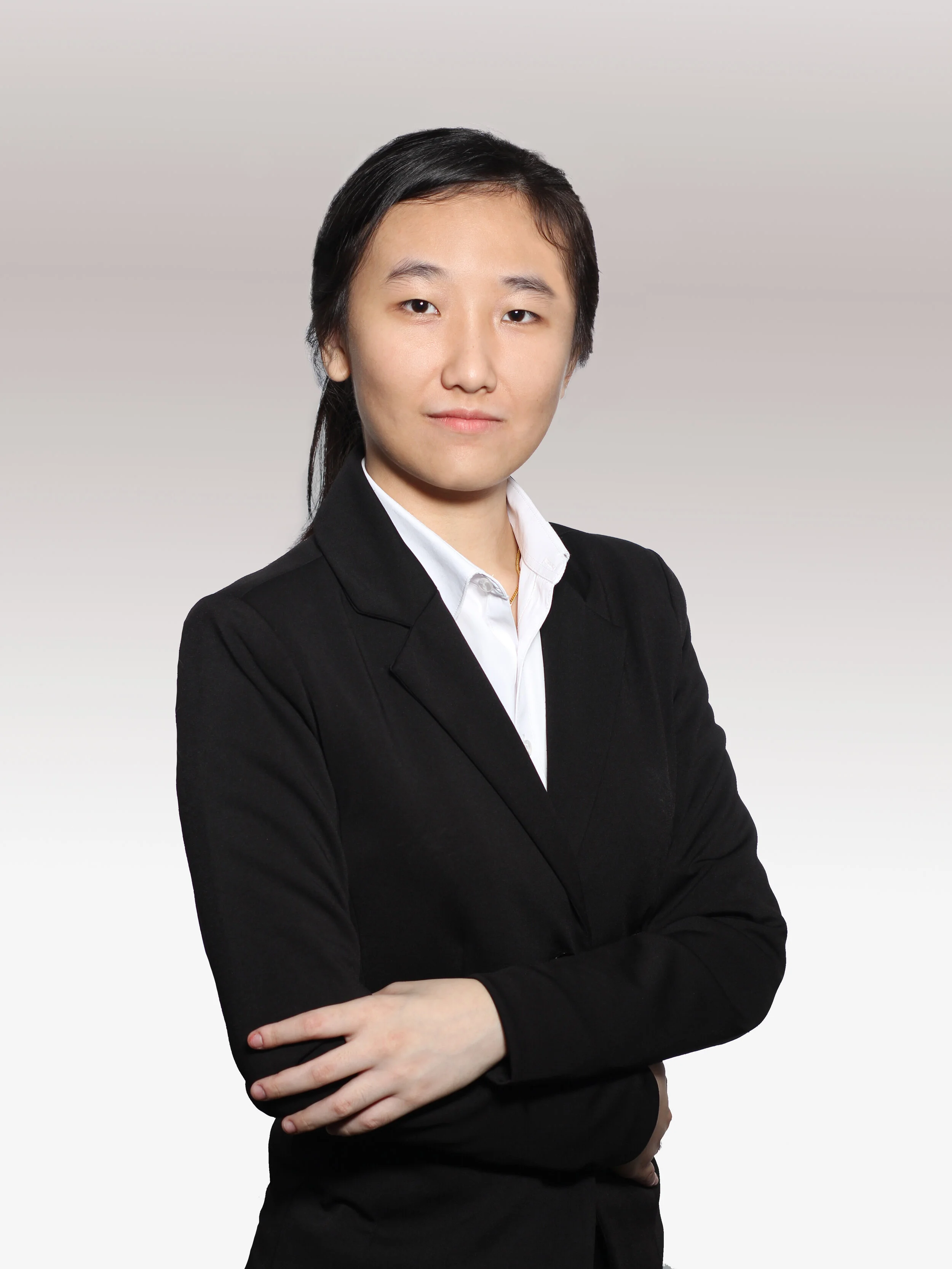 Chancery LLC Lawyers — Chancery Law Corporation