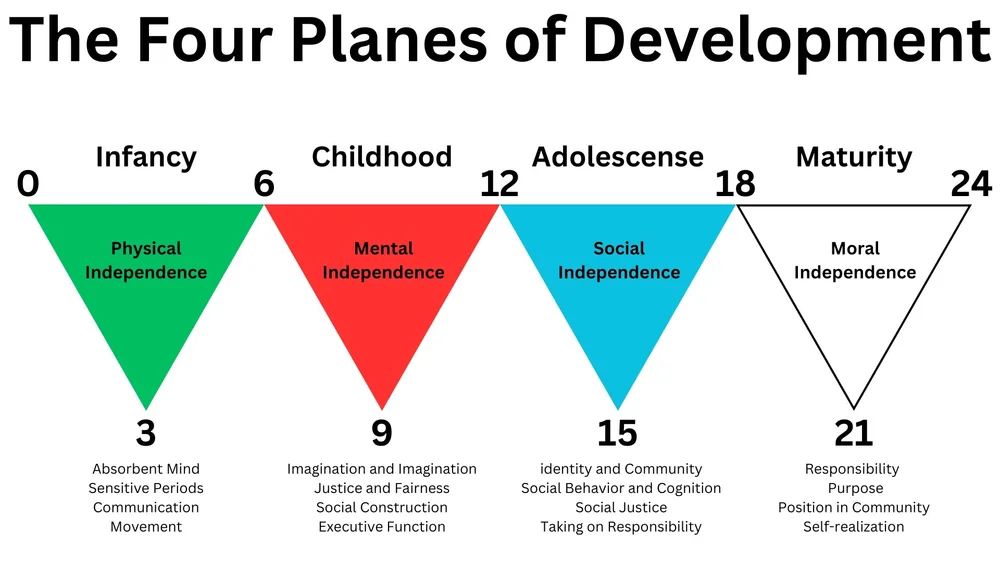 Montessori Physical Education Blog Montessori's Planes of Development ...