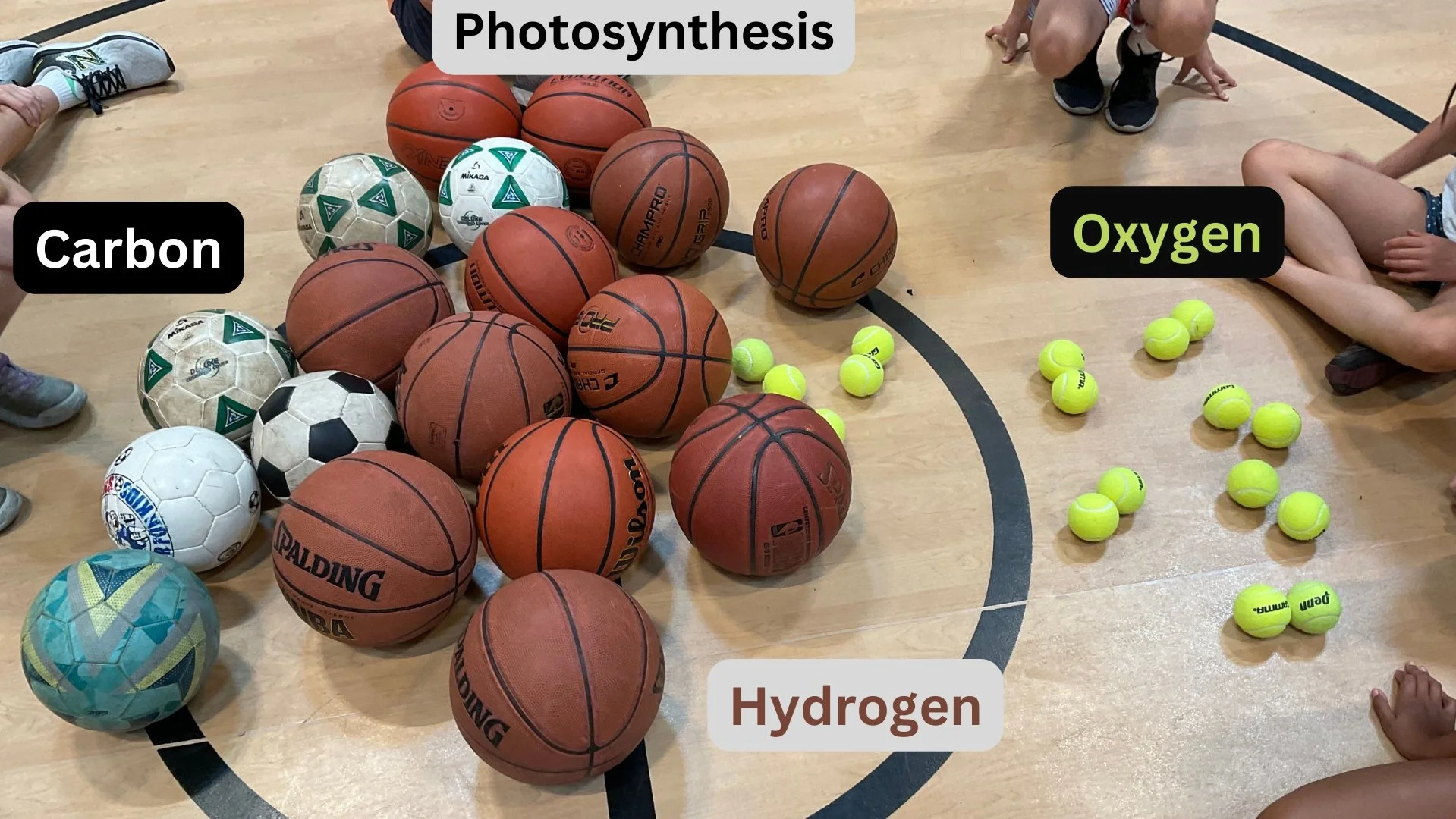 Montessori Physical Education Home