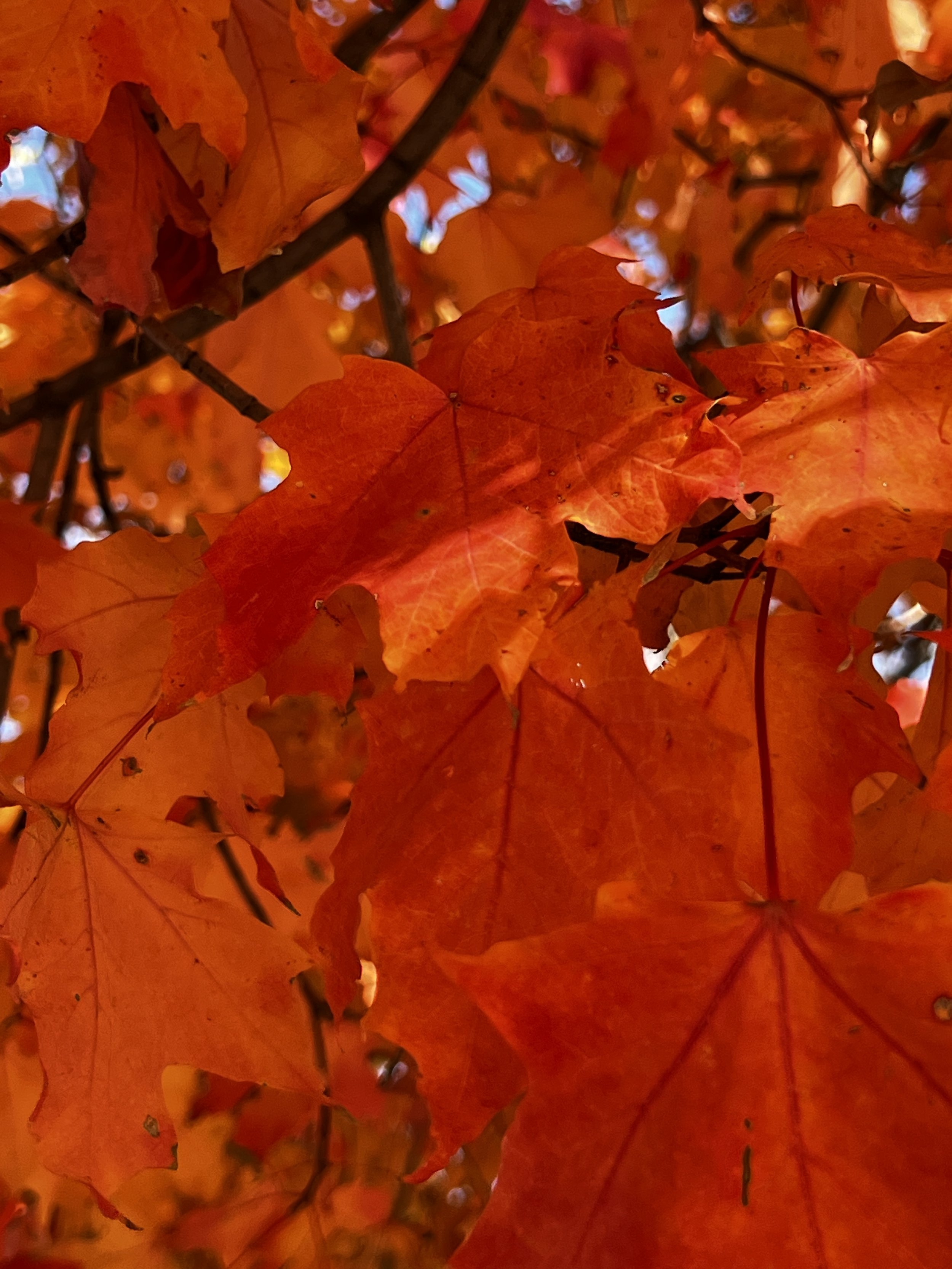 The Weight Of Water — The Milligan Studio
