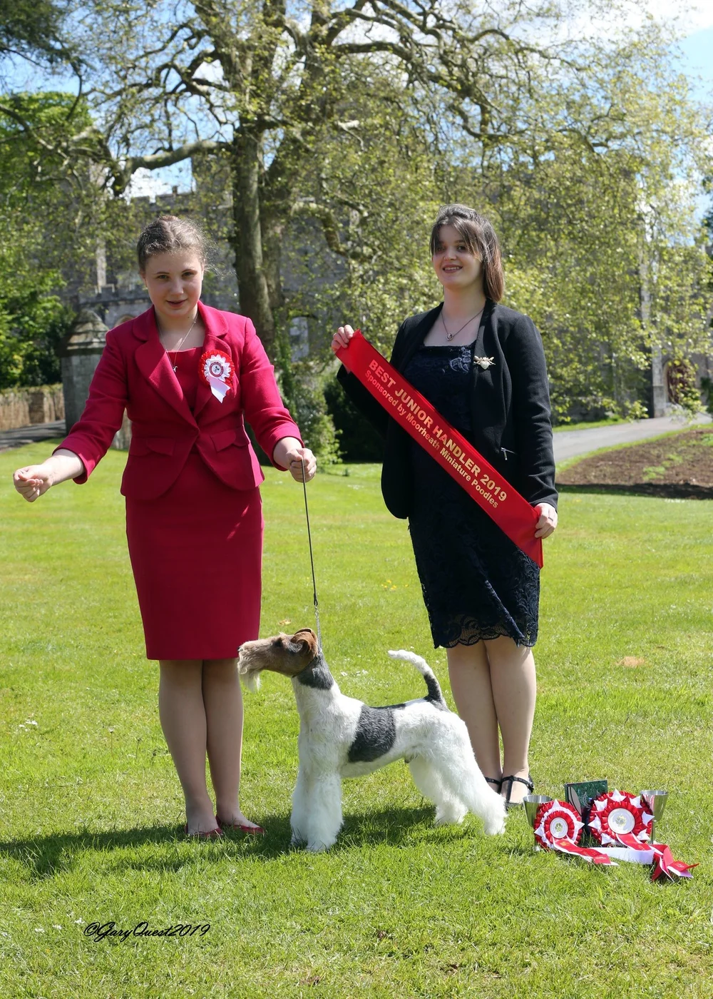 Poppy Wynter wins South West Handler Of The Year — The Wire Fox Terrier ...