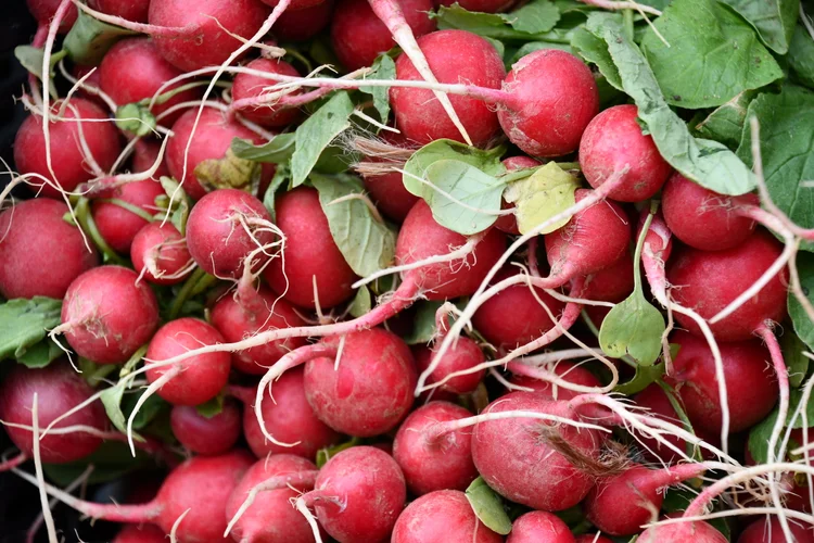 Rye Farmers Market — Rye Chamber of Commerce