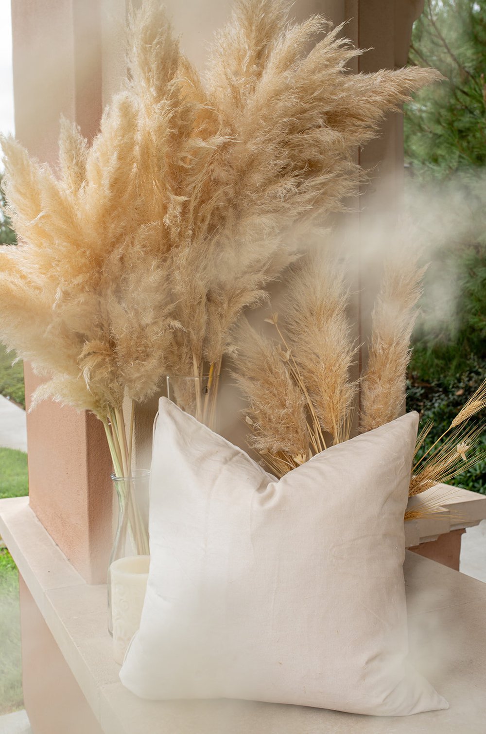 Pacific Pampas Grass - Branding Photography Session in Orange County ...
