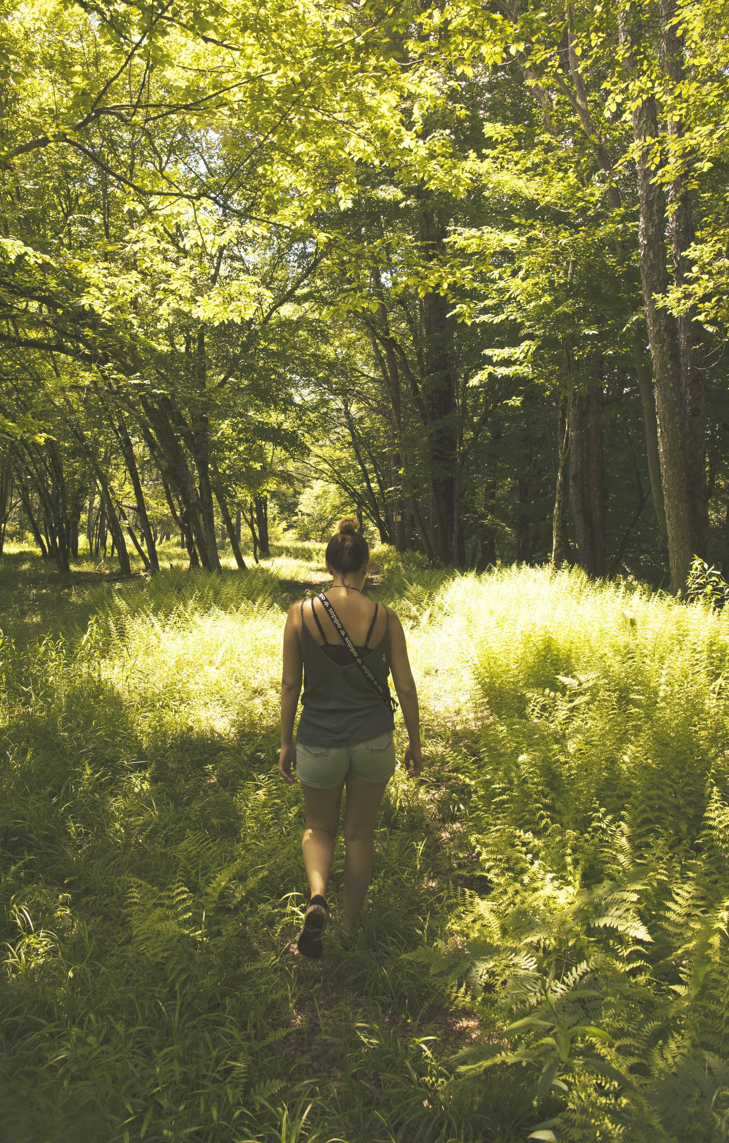 Weekend Guide to Livingston Manor, New York — 27 Travels