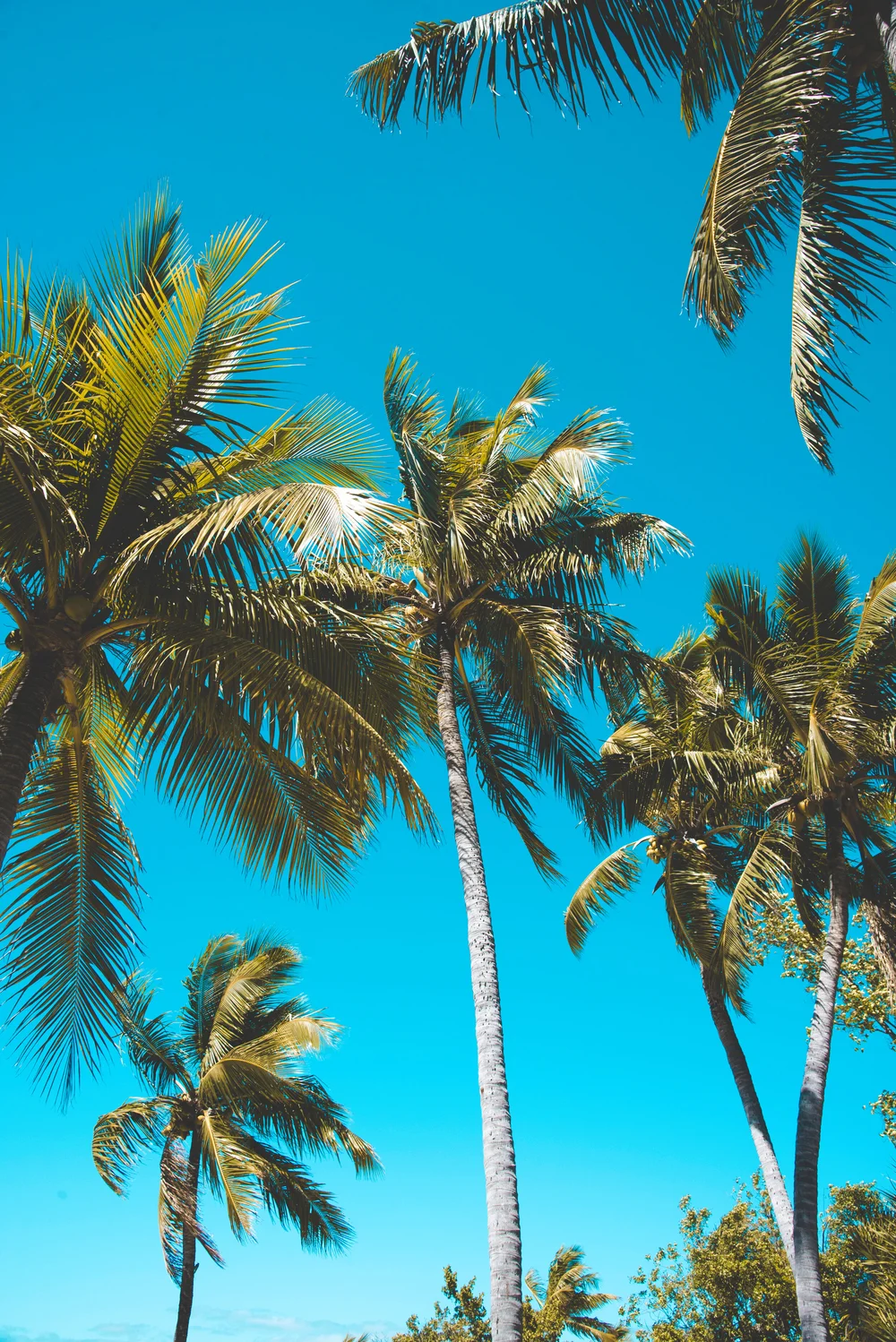 The Ultimate Guide to The Florida Keys — 27 Travels