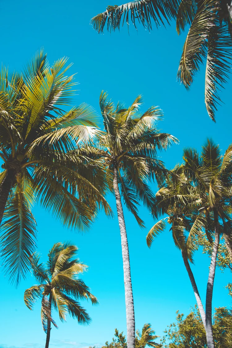The Ultimate Guide to The Florida Keys — 27 Travels