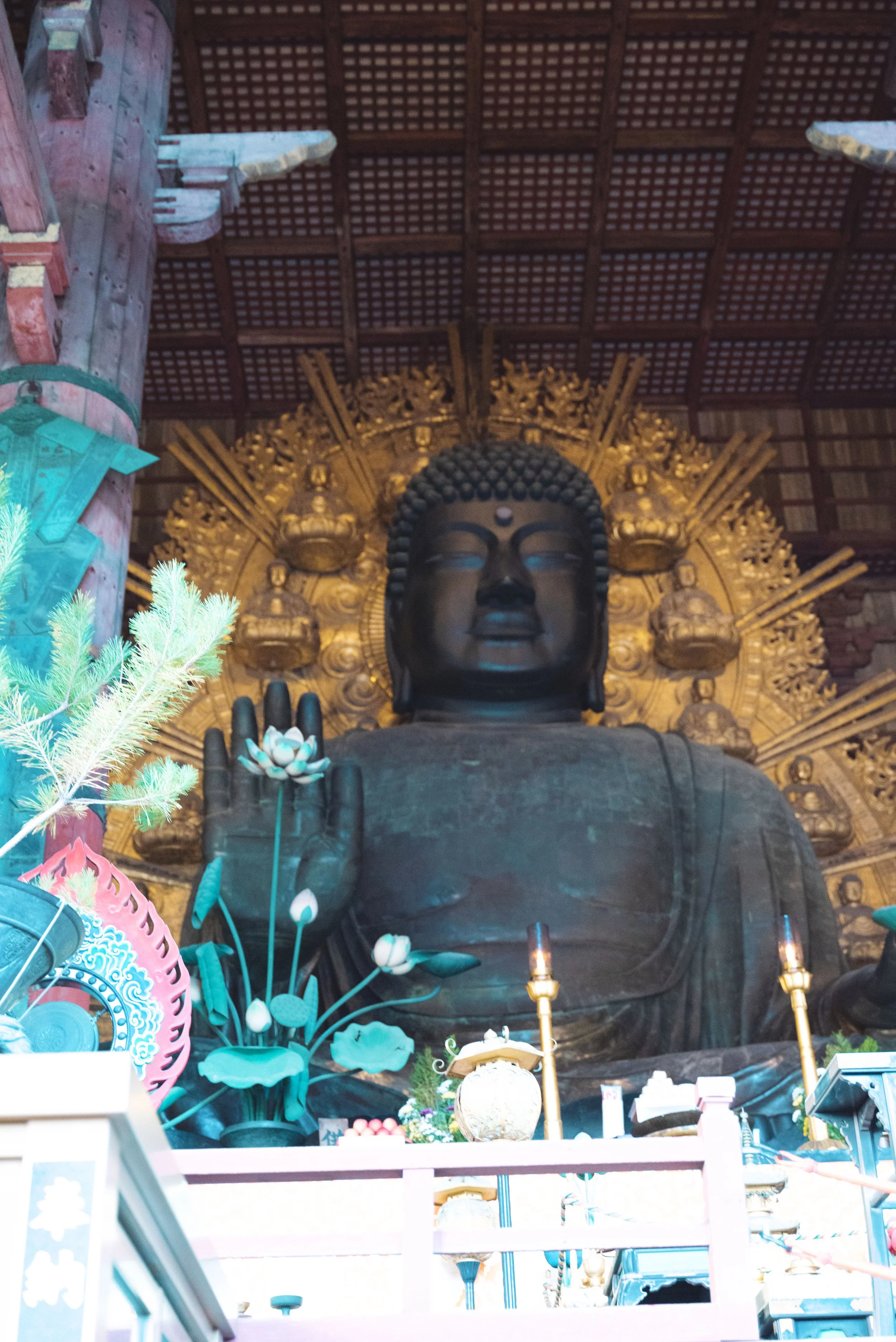 Nara Escape: Your Go-To Guide for a Few Days in Japan’s Historic City ...