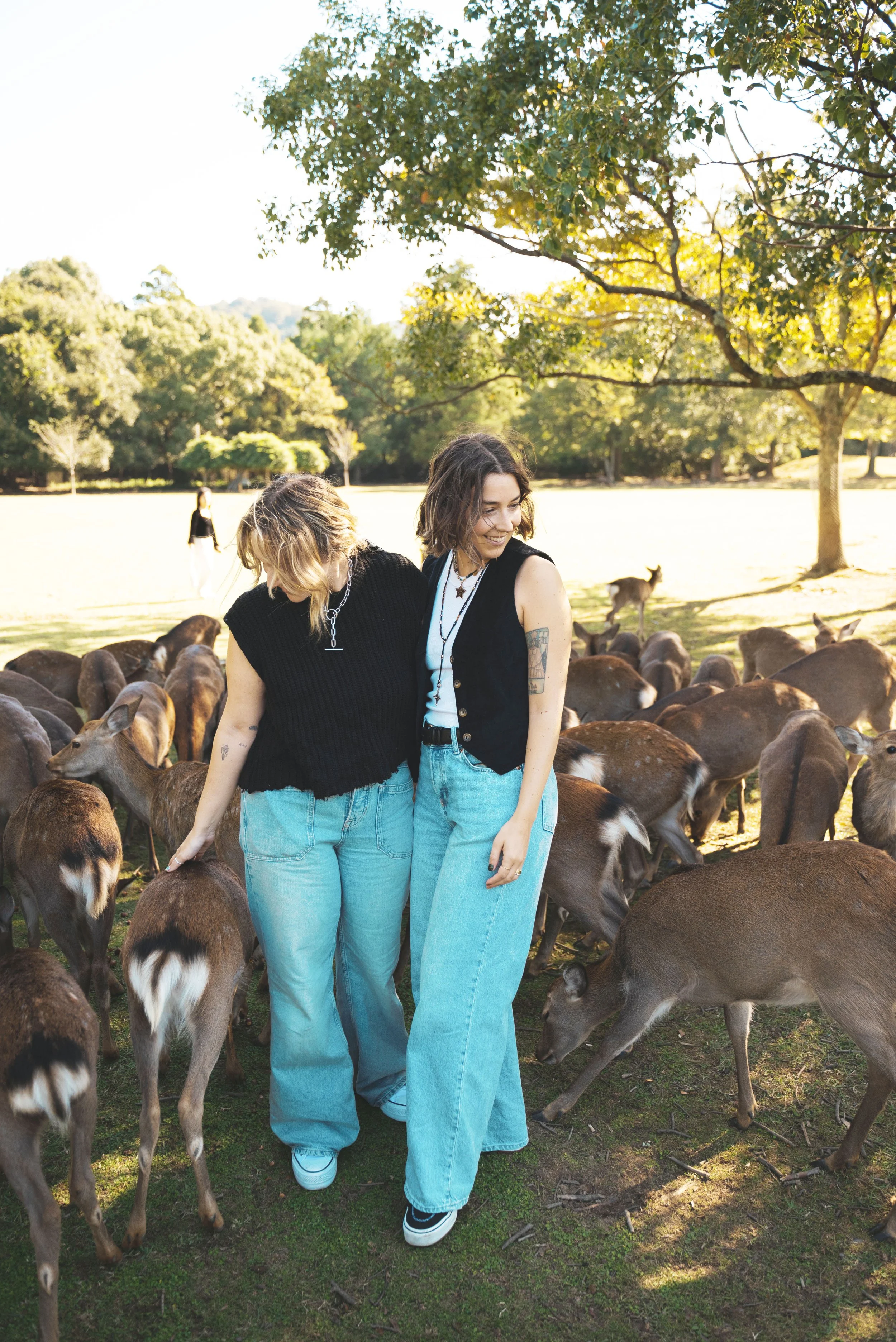 Nara Escape: Your Go-To Guide for a Few Days in Japan’s Historic City ...