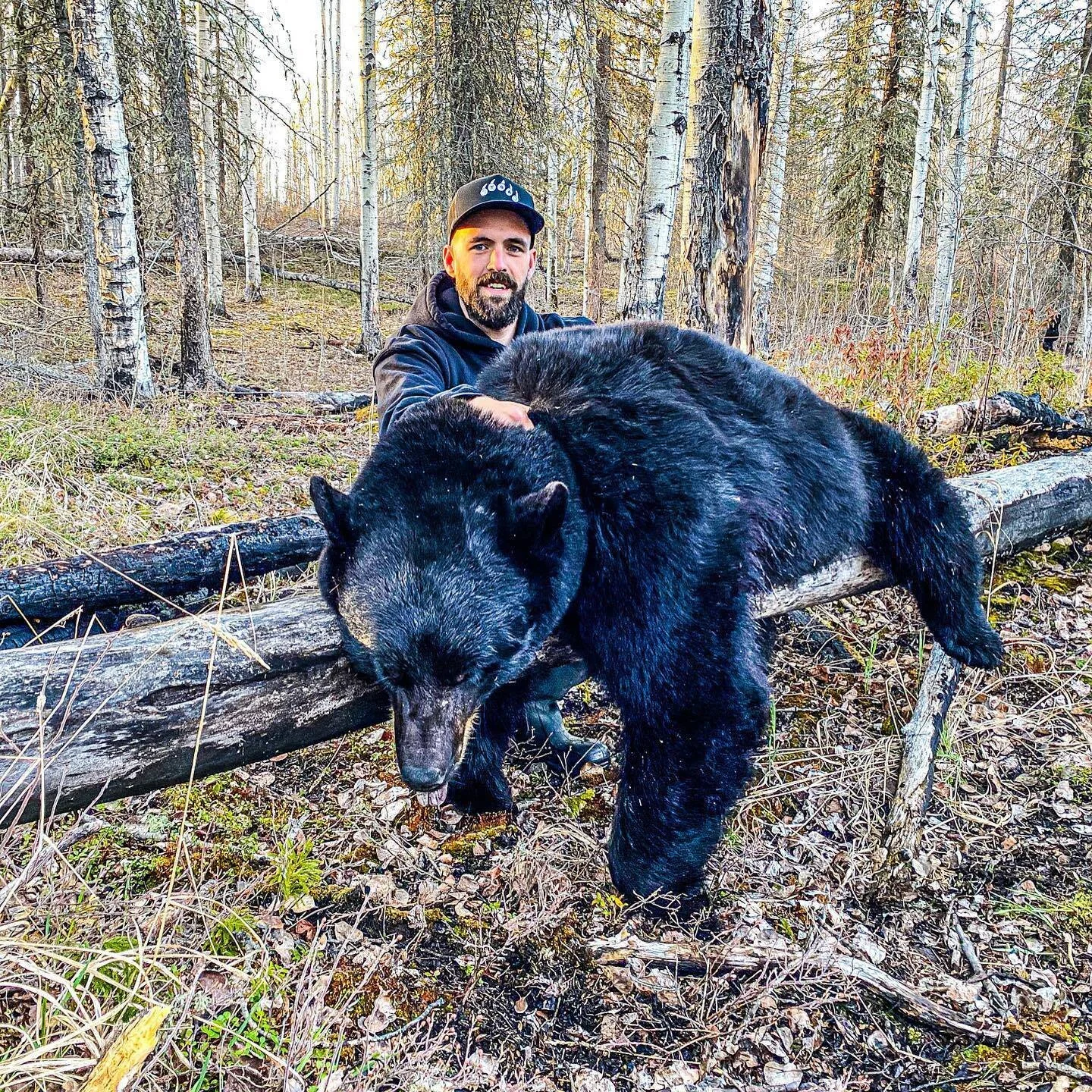 Bear Baiting 101 — Fall Obsession