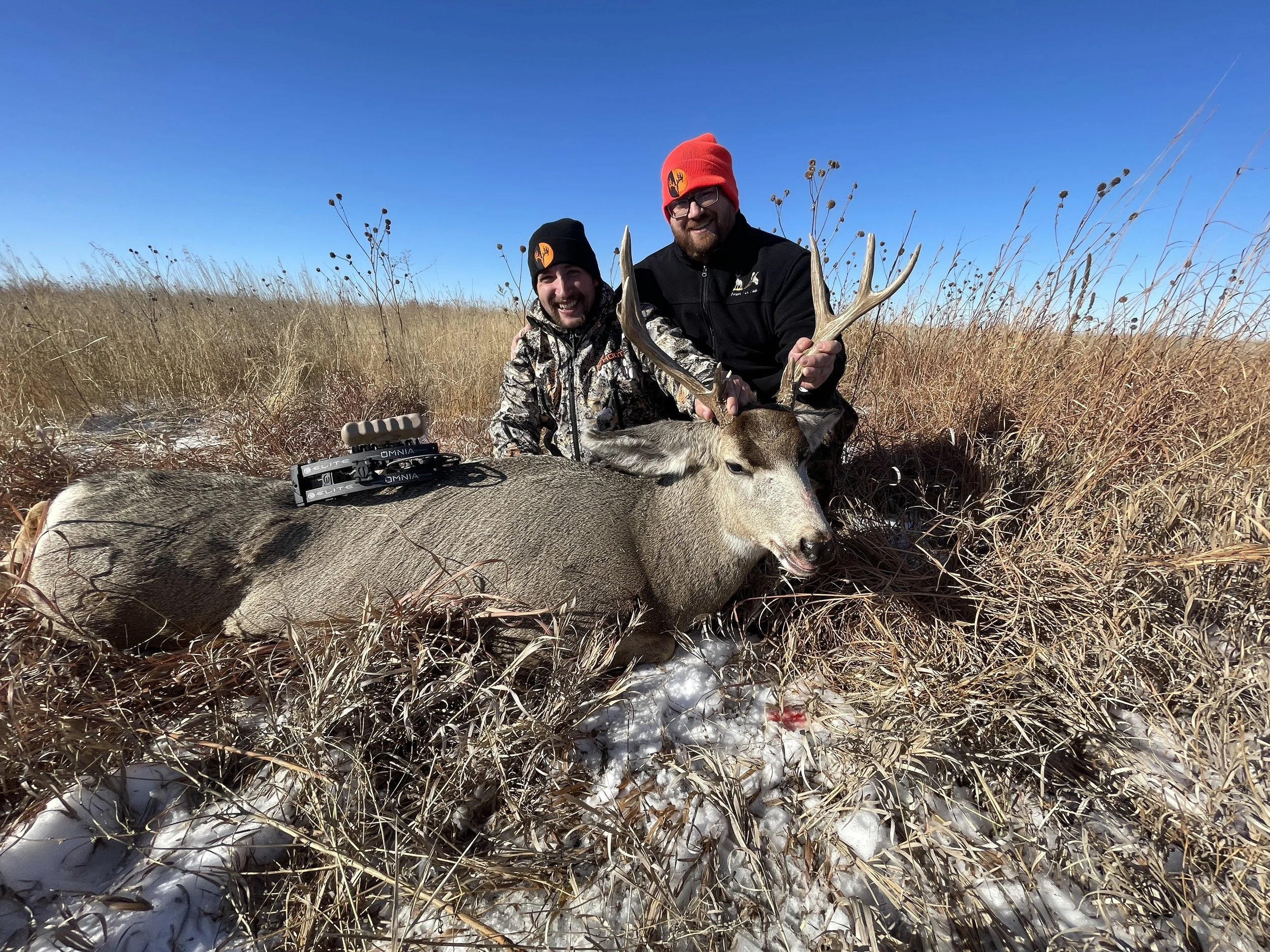 How to Get a Colorado Big Game Tag: 2024 Edition — Fall Obsession