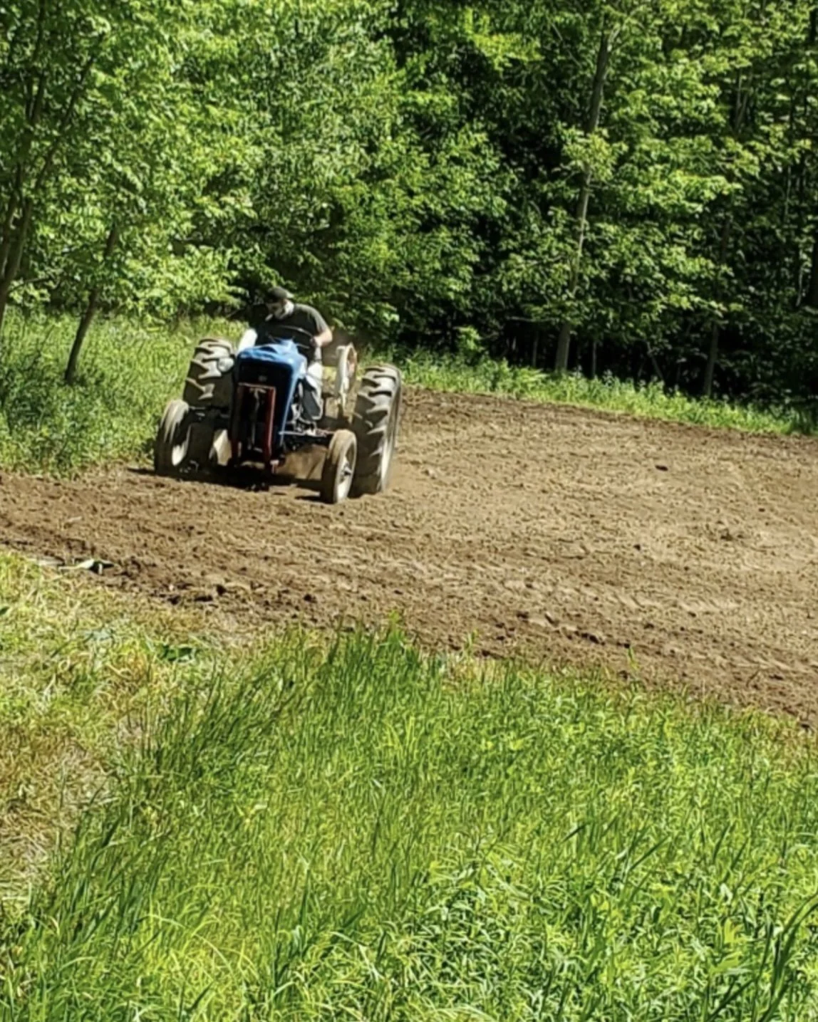 Food Plots Designed for Big Bucks — Fall Obsession