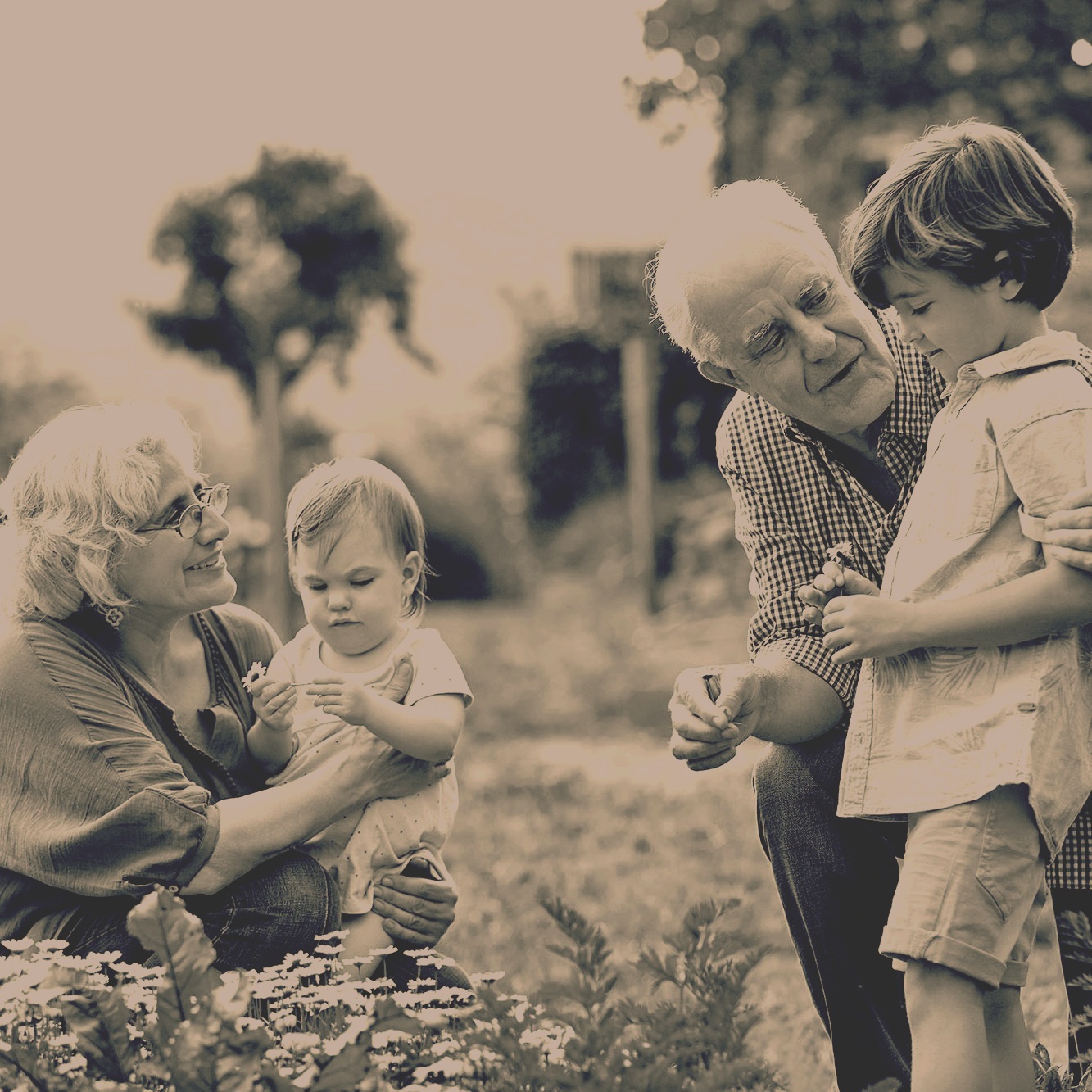 Beratung — Dr. Stefan Hampl