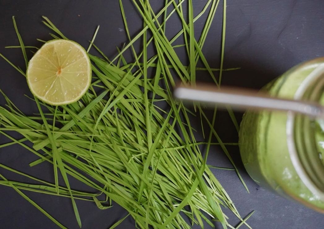 week-end DETOX Vitalité — Kinepilates: Studio Pilates ELDOA depuis 2008 ... week-end DETOX Vitalité — Kinepilates: Studio Pilates ELDOA depuis 2008 ...