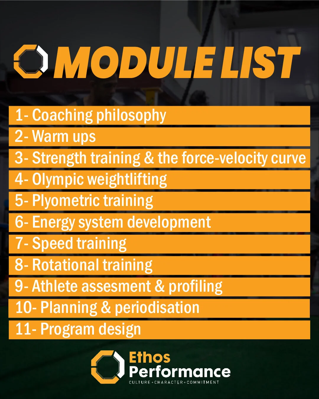 Internships — Ethos Performance | Australia’s Premier Combat Sport ...