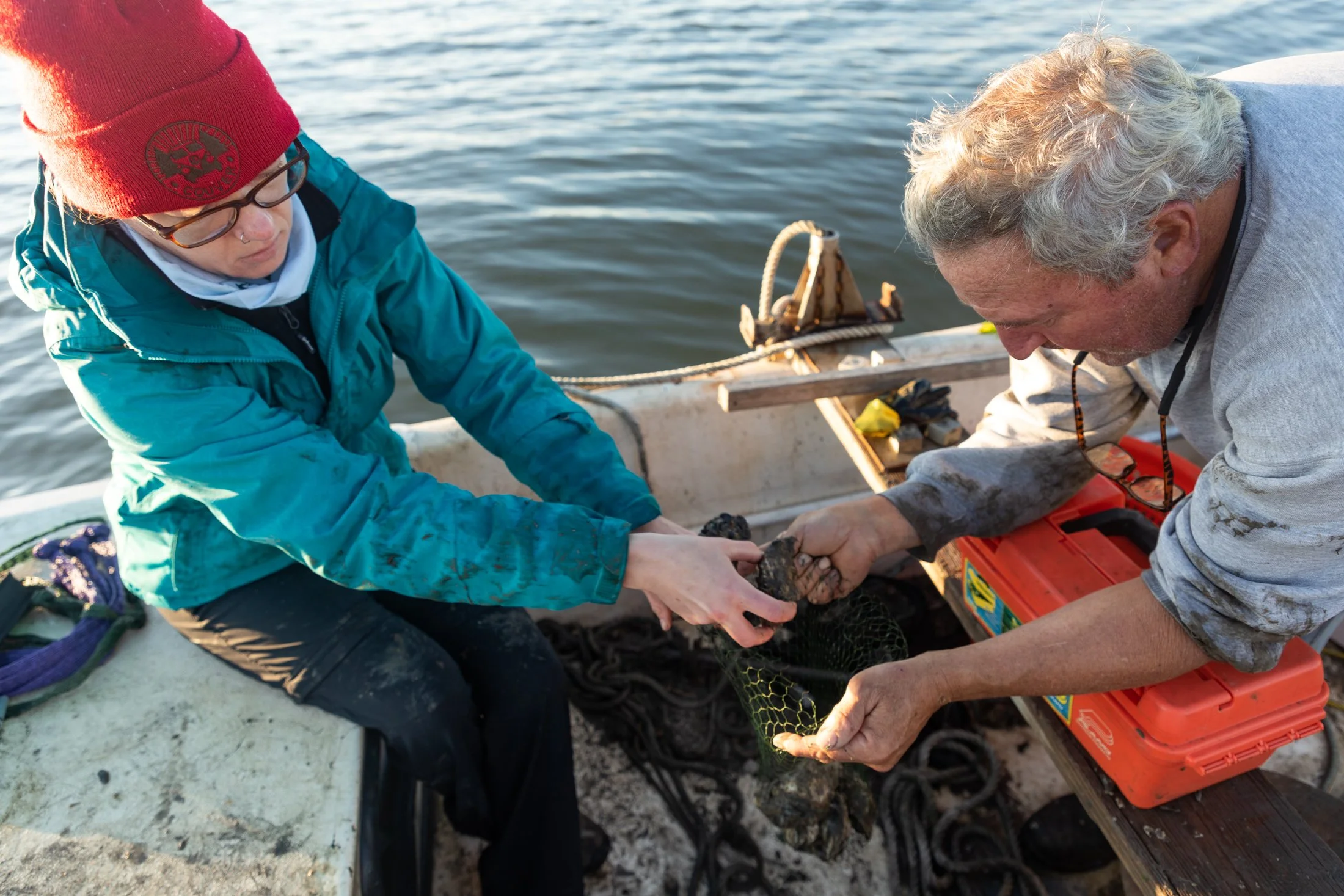 Bivalve Bites: Oyster Aquaculture Research Roundup: Part II — Oyster South