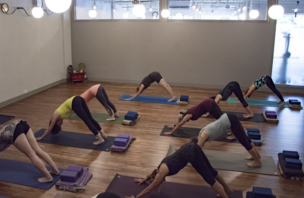 Yoga Gallery