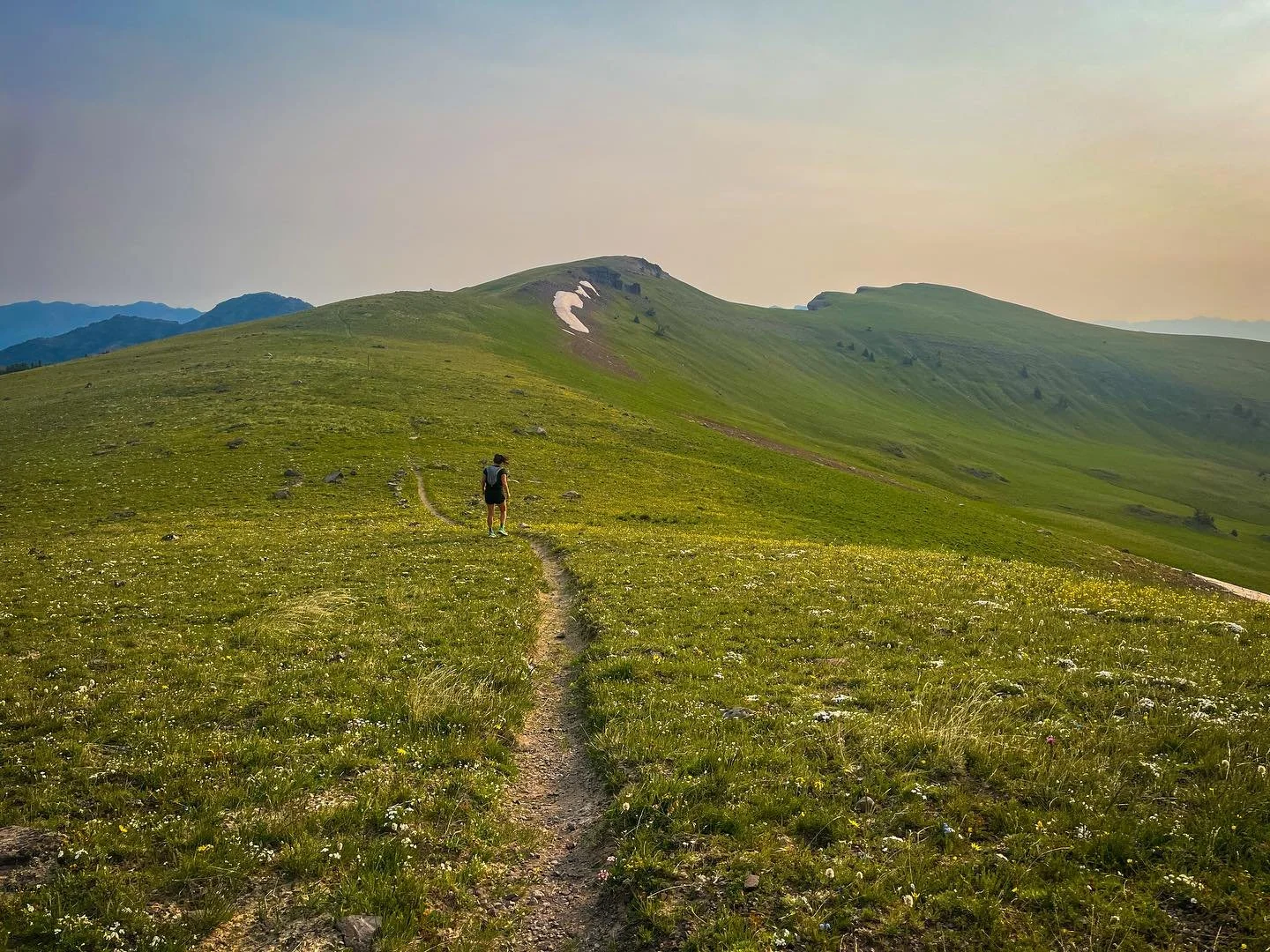 Enso Natural Medicine