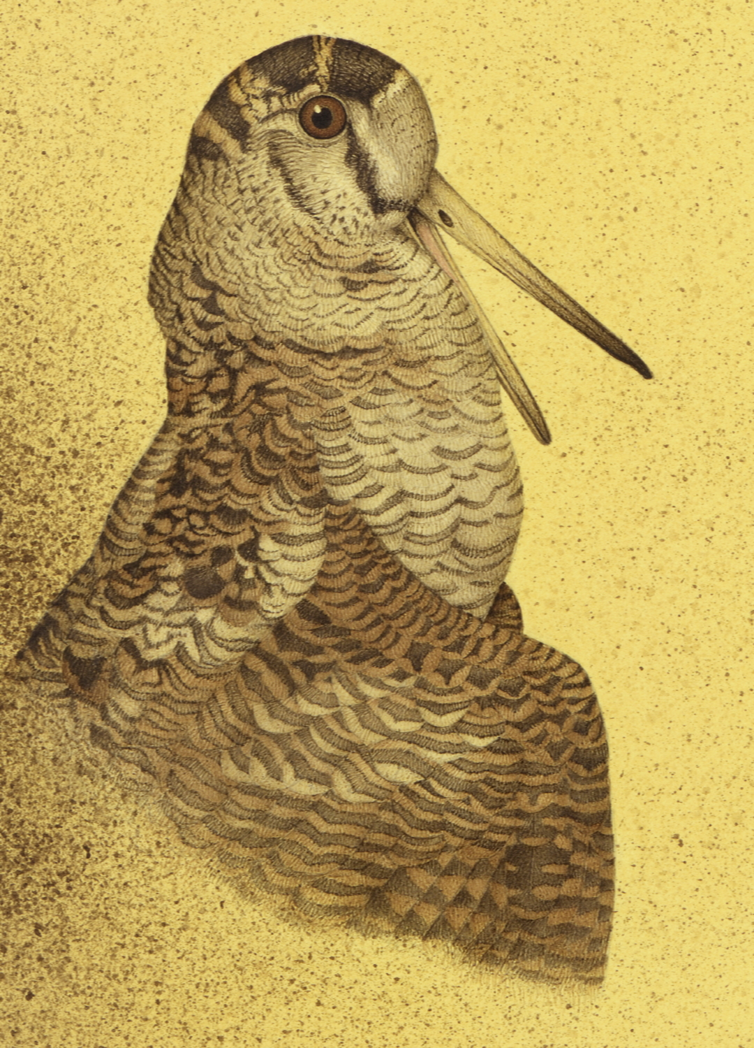 Steven Porwol Biography — Steven Porwol