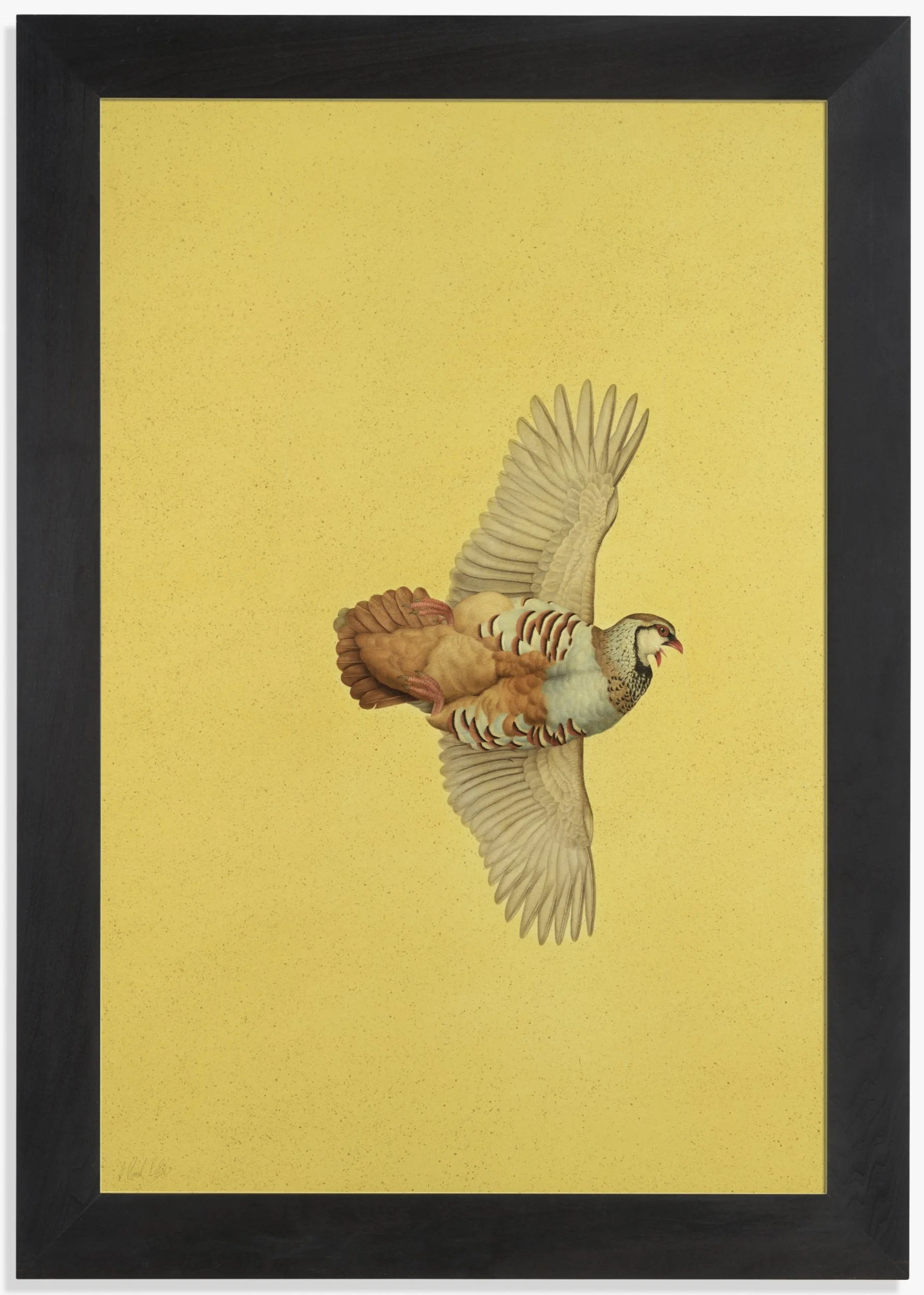 Steven Porwol Works for Sale — Steven Porwol