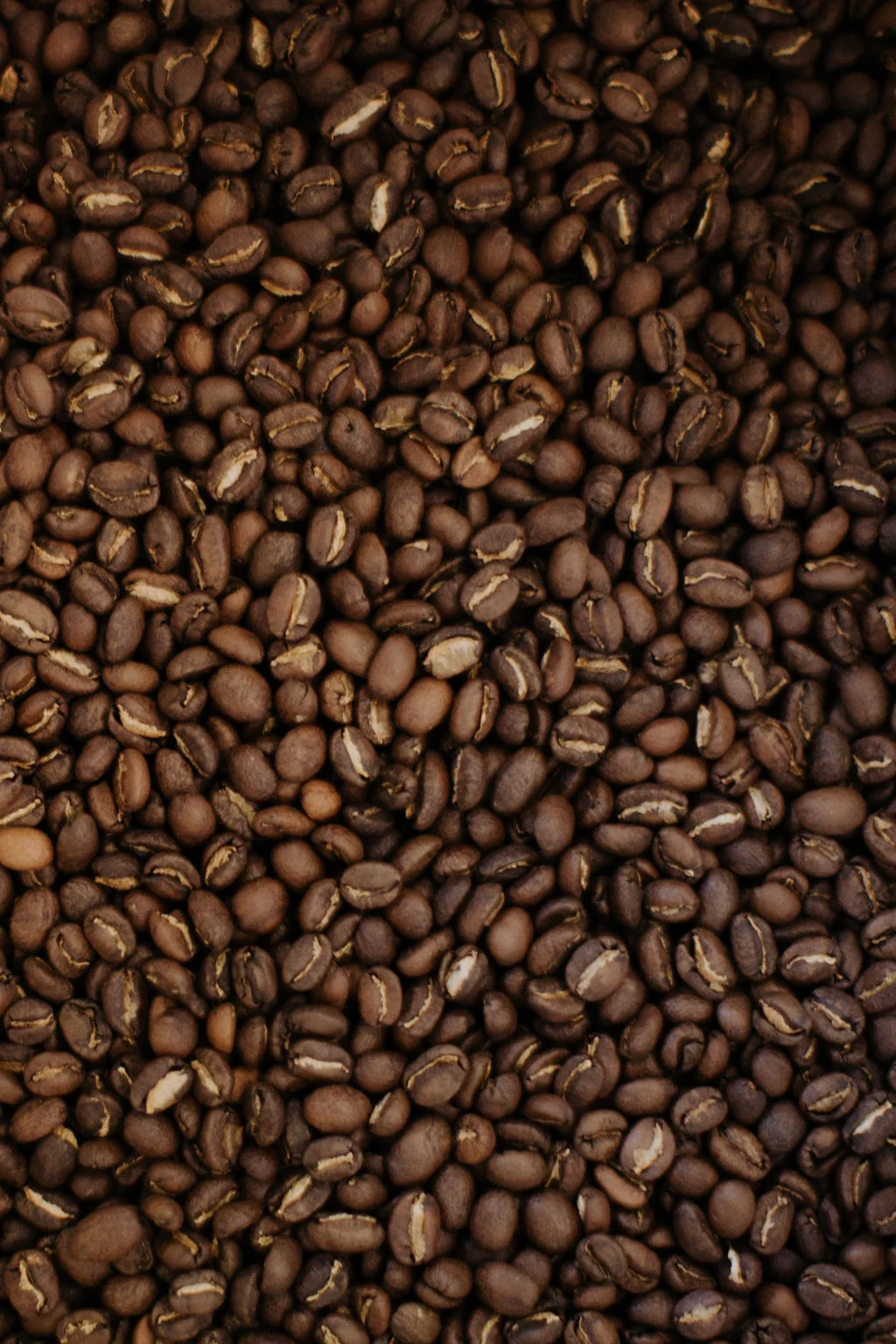 Chestnut Ridge Coffee Roasters