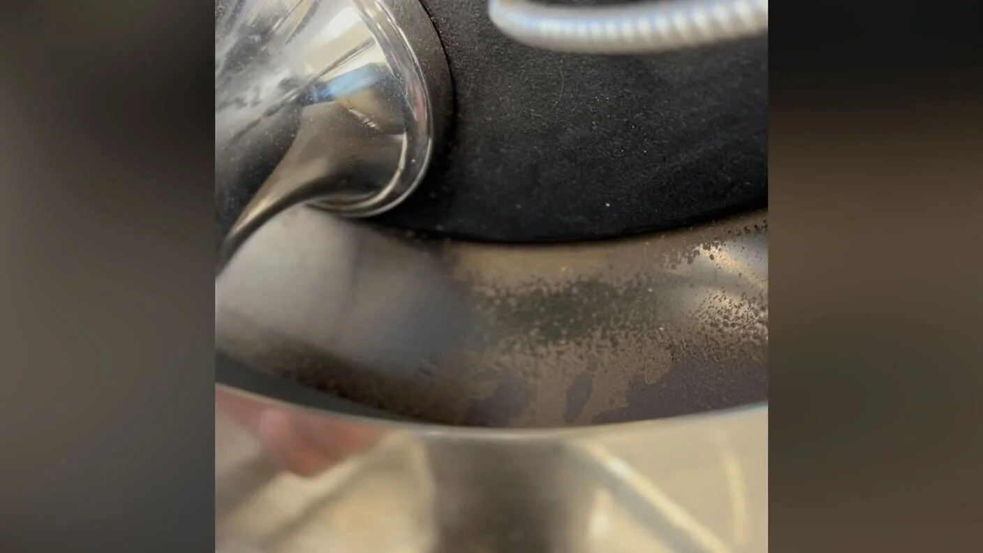 Chestnut Ridge Coffee Roasters