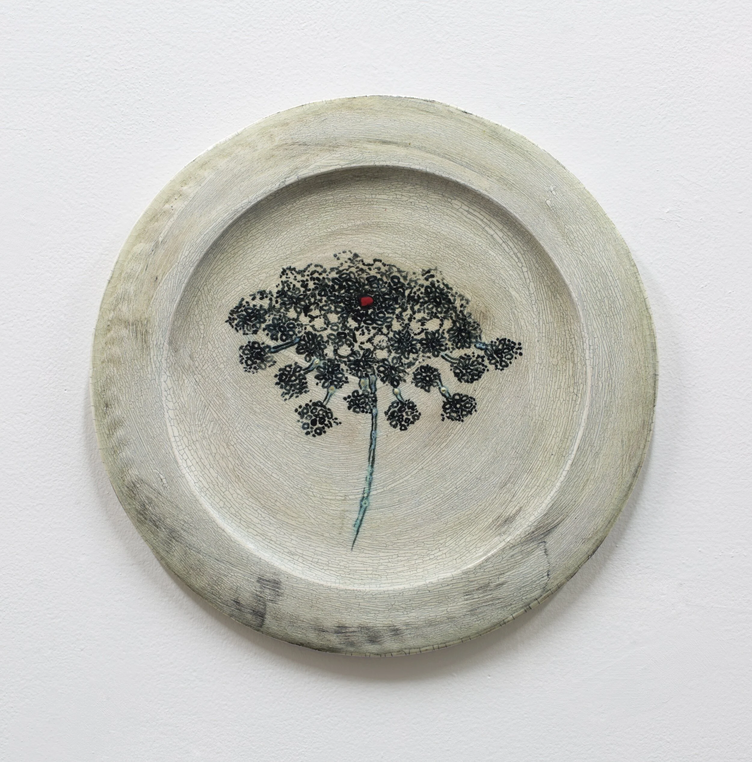 Observations from Nature — Kate Simmons Artist