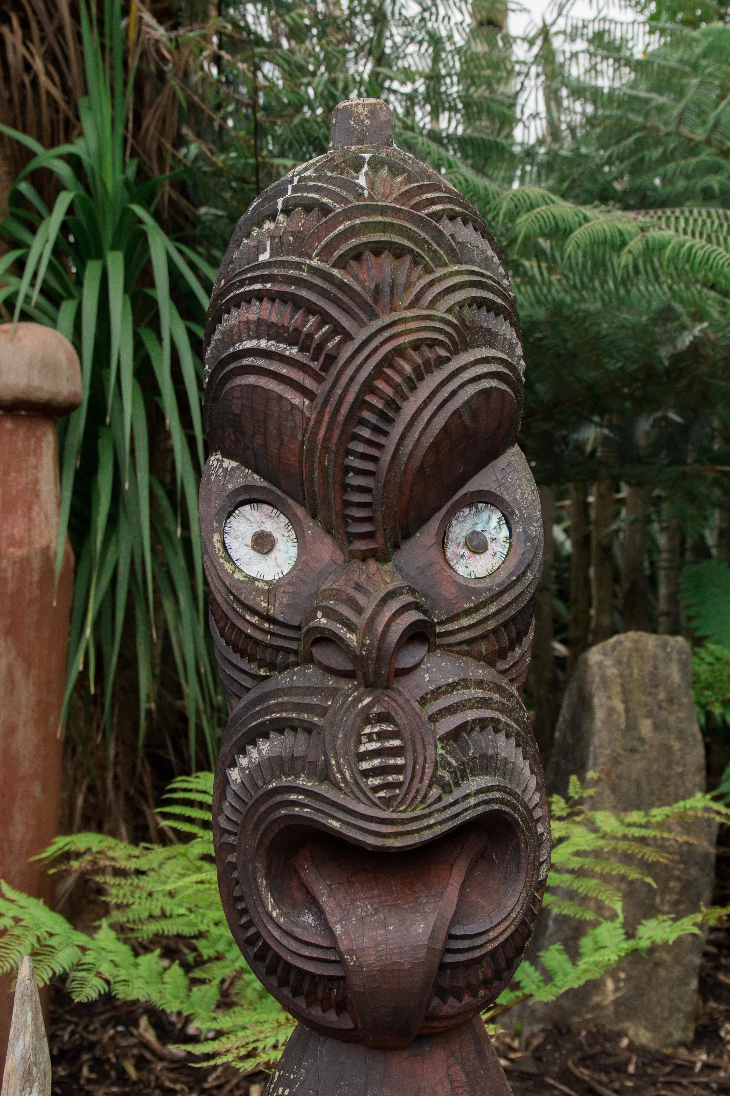 Te Ao Maori — Te Puna Taiao