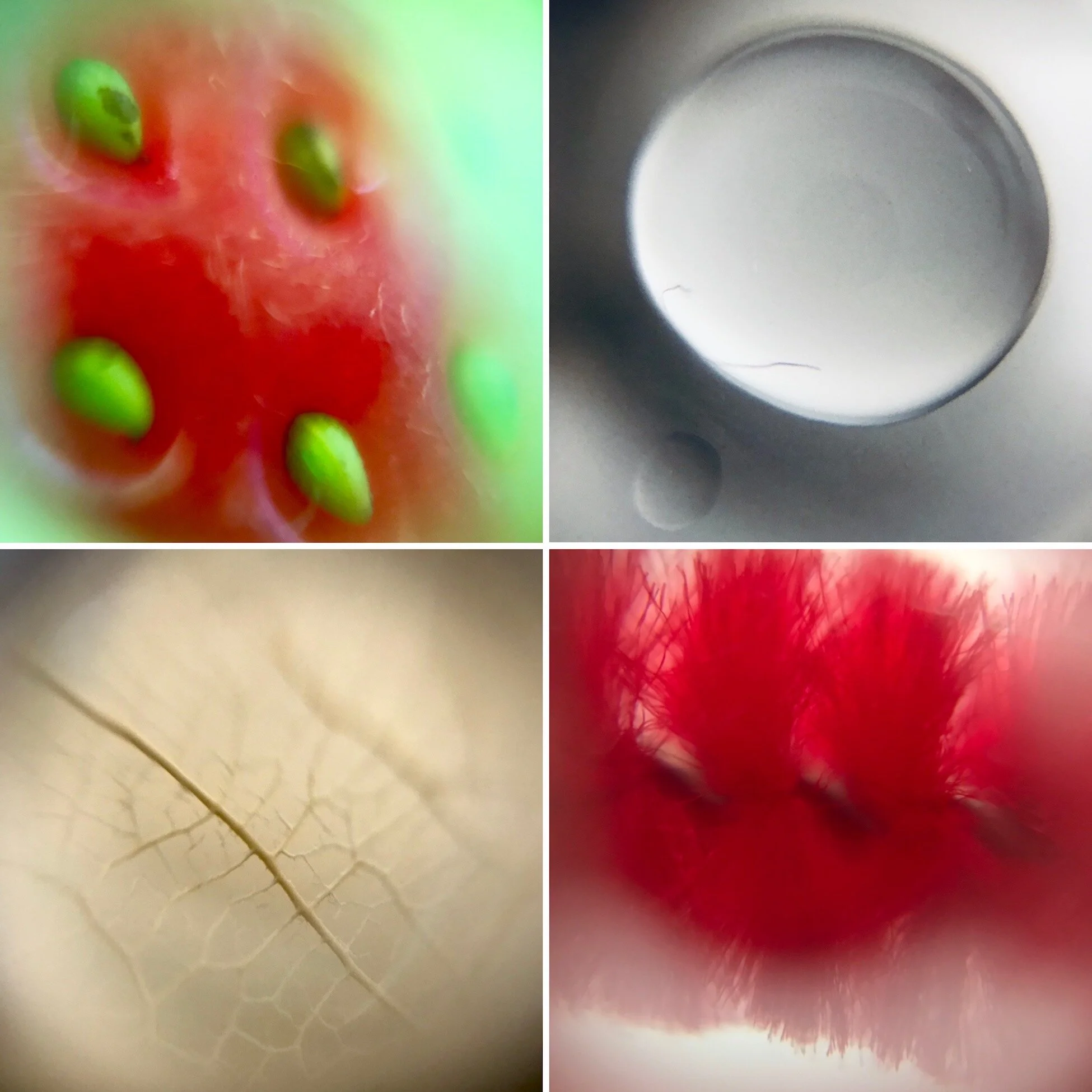 Alternative Photography Workshops — Hannah Ayre