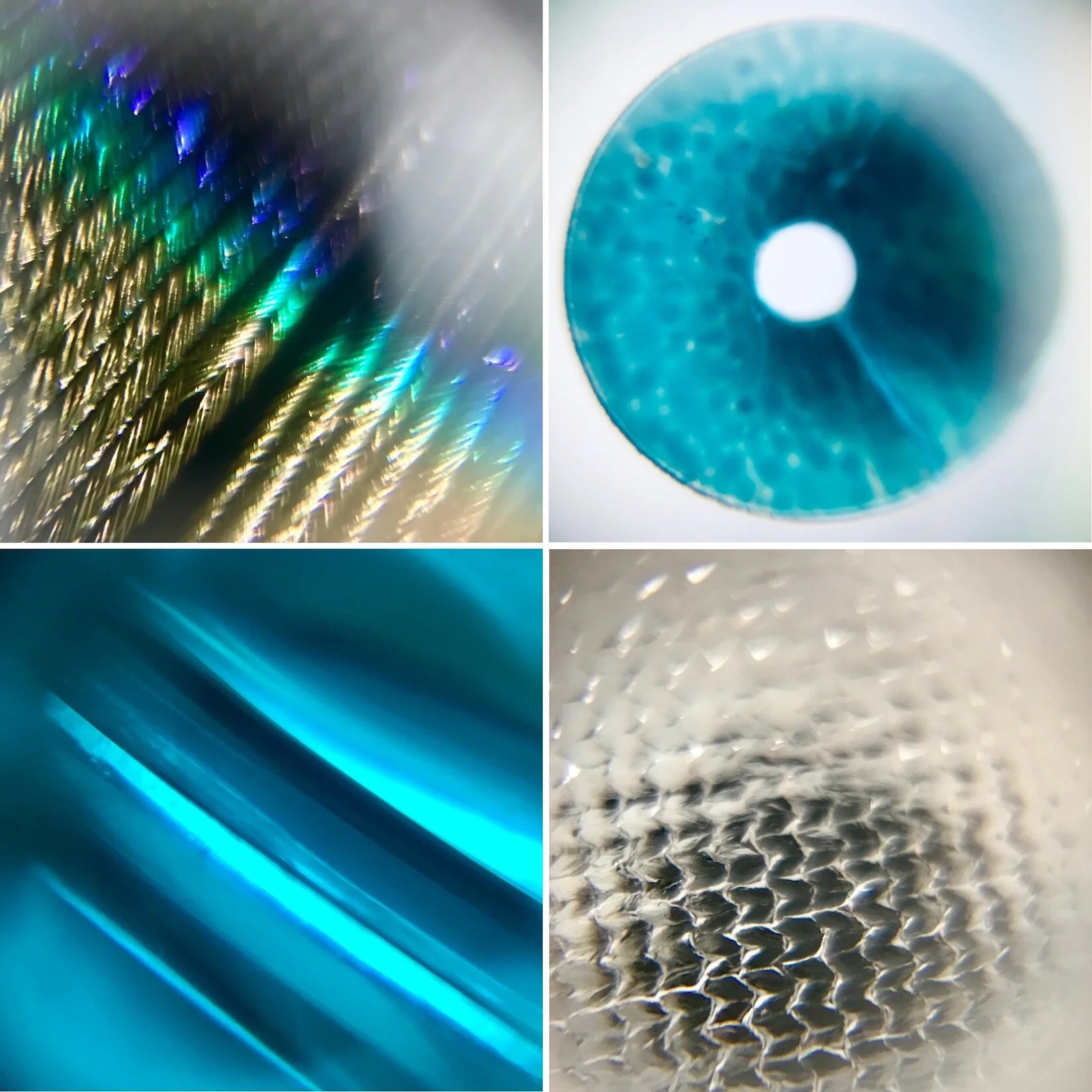 Alternative Photography Workshops — Hannah Ayre