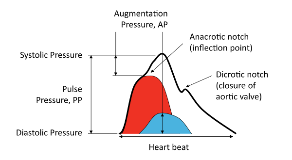 Pulse waveform — Medi-Stats