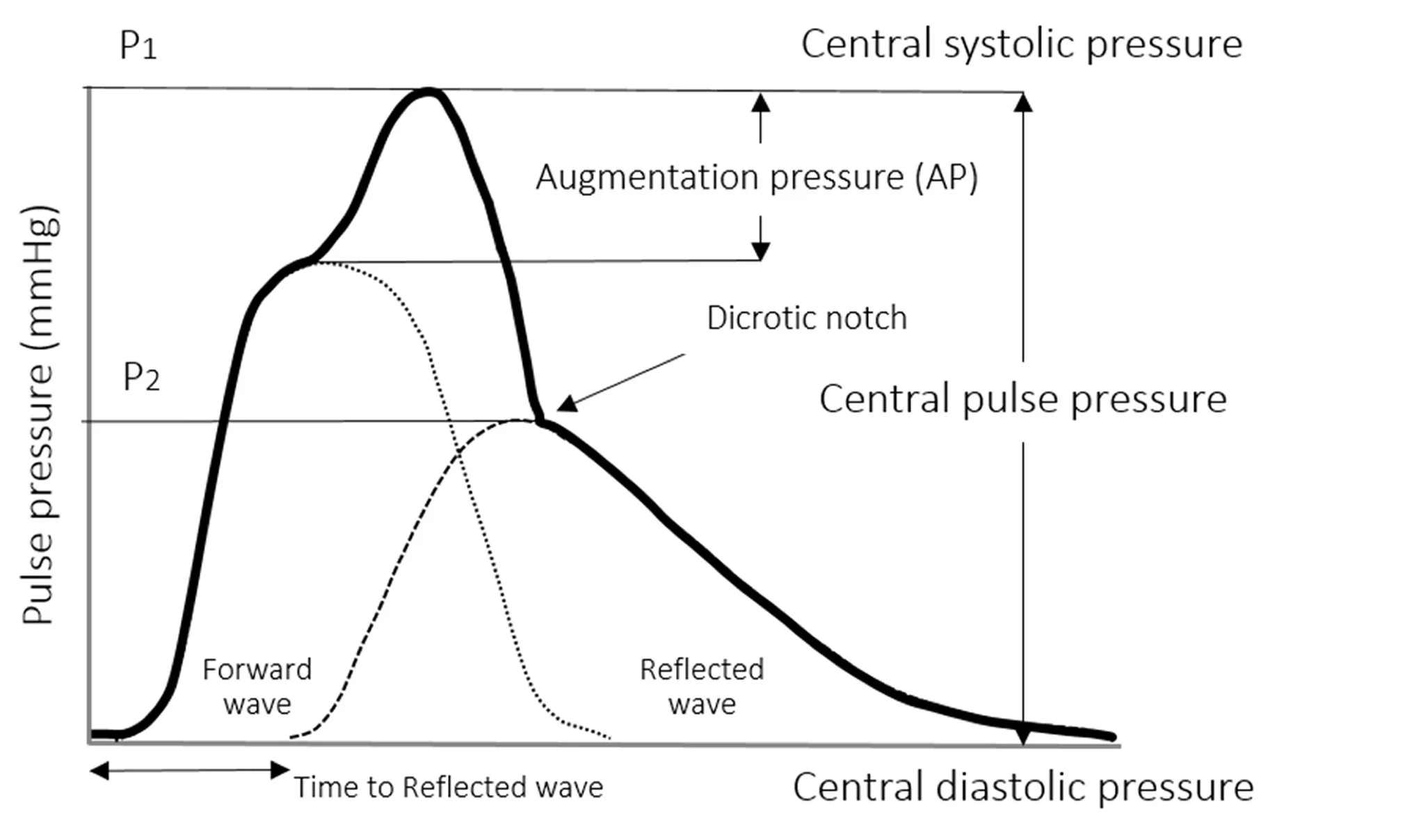 Pulse Waveform Medi Stats Pulse Waveform Medi Stats