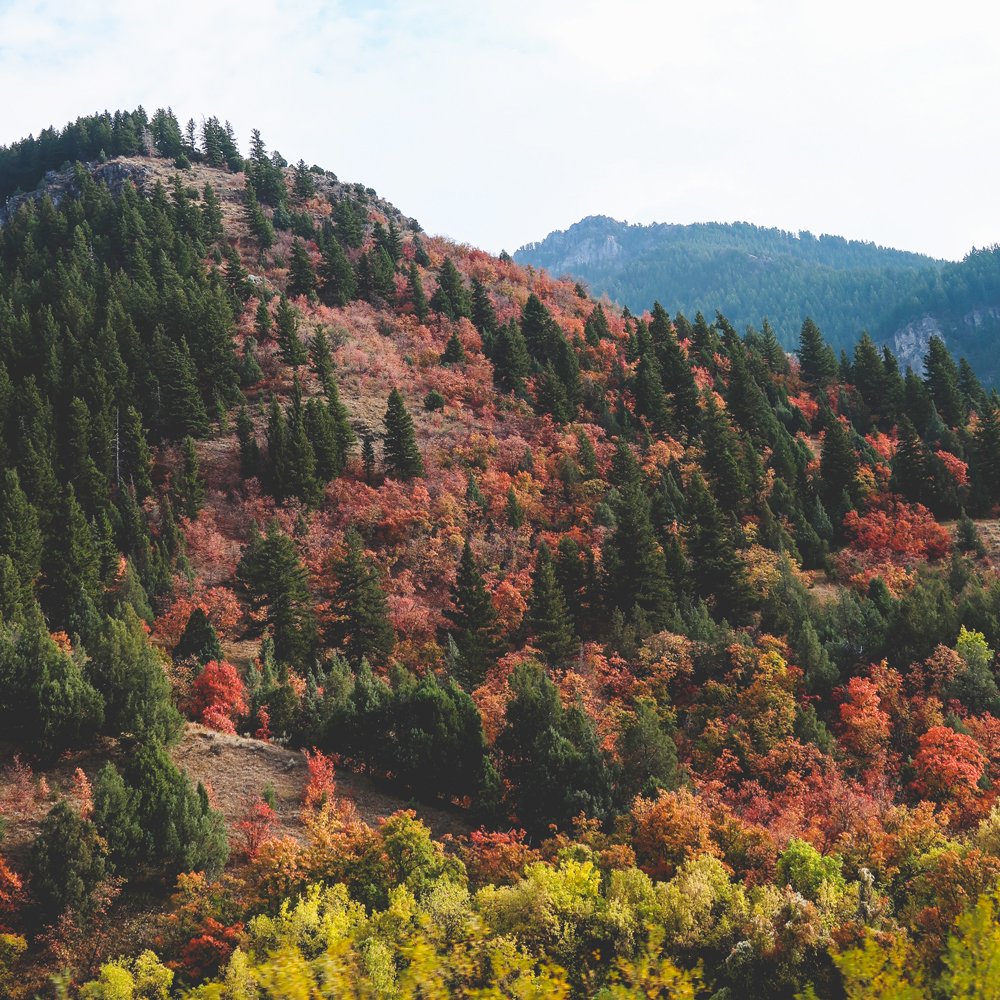 Utah fall colors: 7 breathtaking spots for beautiful foliage