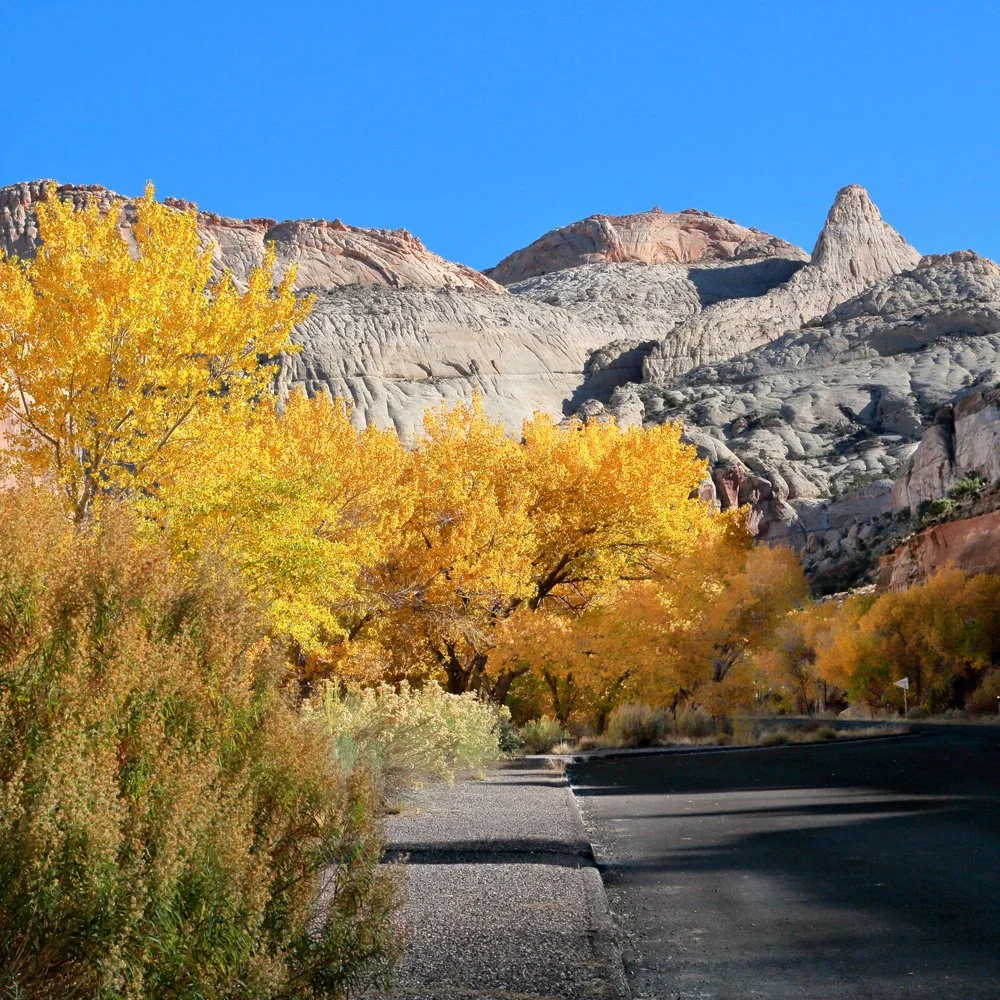 Utah fall colors: 7 breathtaking spots for beautiful foliage