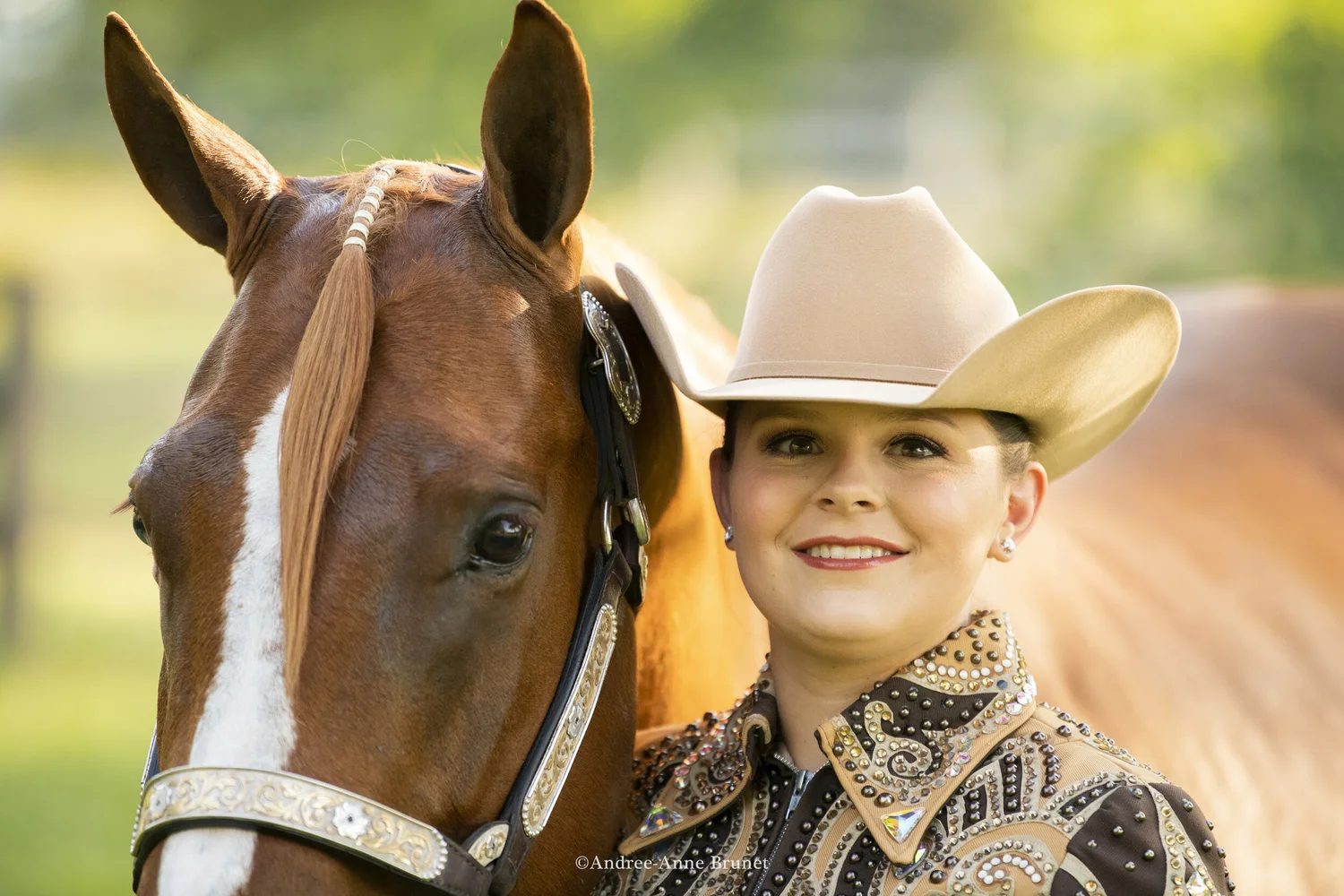 Julie Scrivo with Jerry, Allusion, Harvey, Tiny and Upie | Horse ...