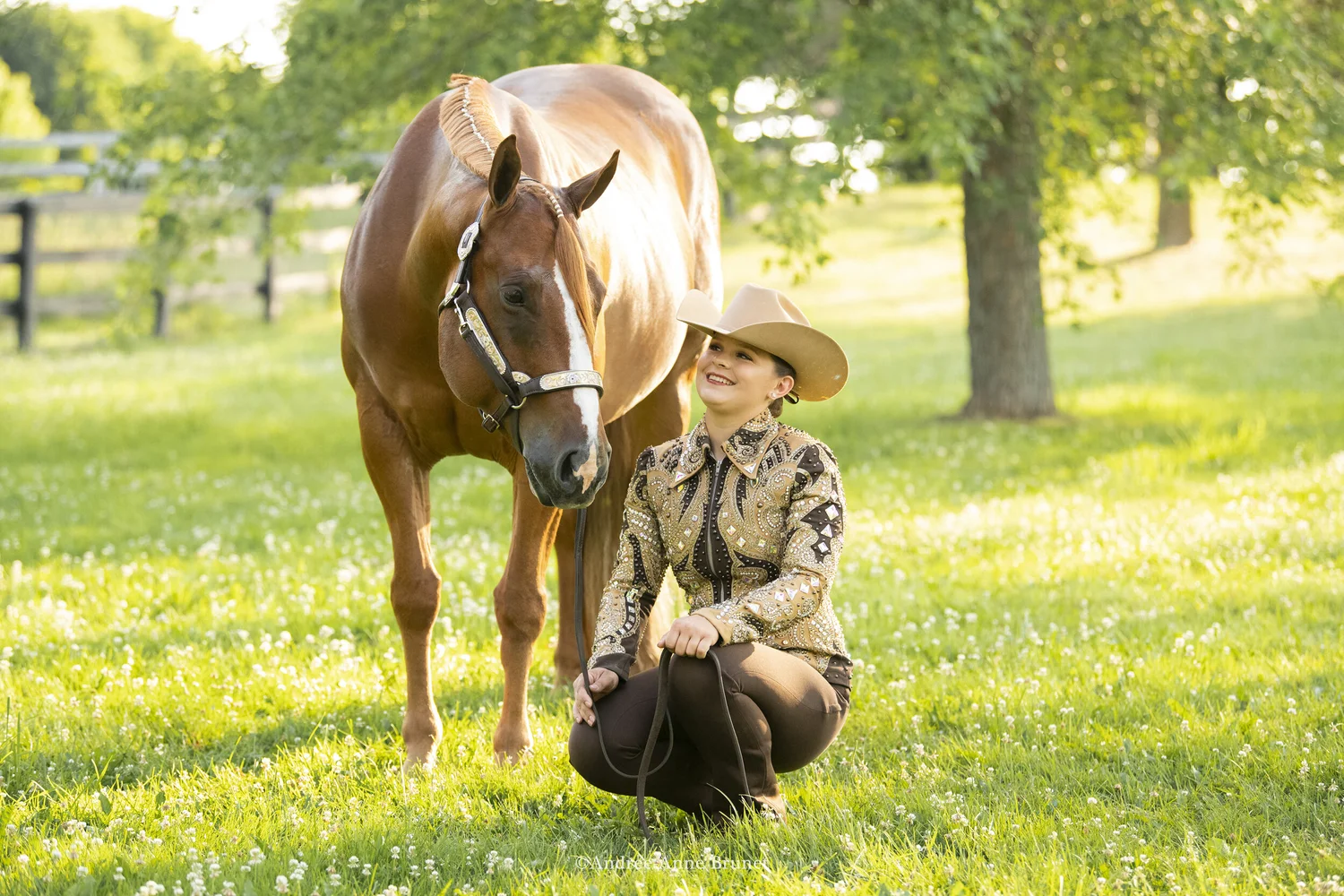 Julie Scrivo with Jerry, Allusion, Harvey, Tiny and Upie | Horse ...