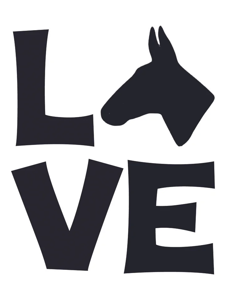 Discontinued Merchandise Sale — Mules and More Magazine