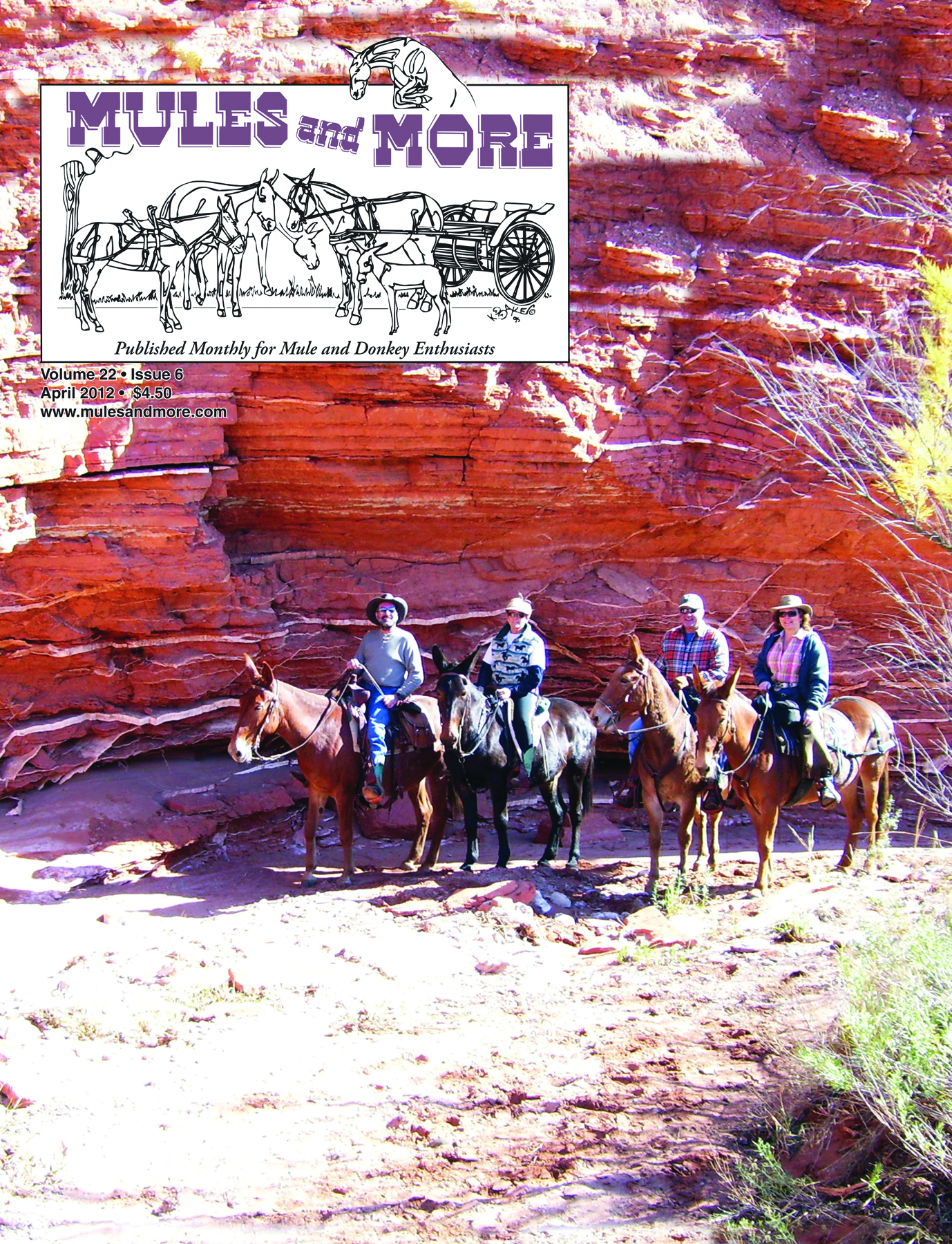 Mules and More’s 9th Annual Trail Riding Issue — Mules and More Magazine