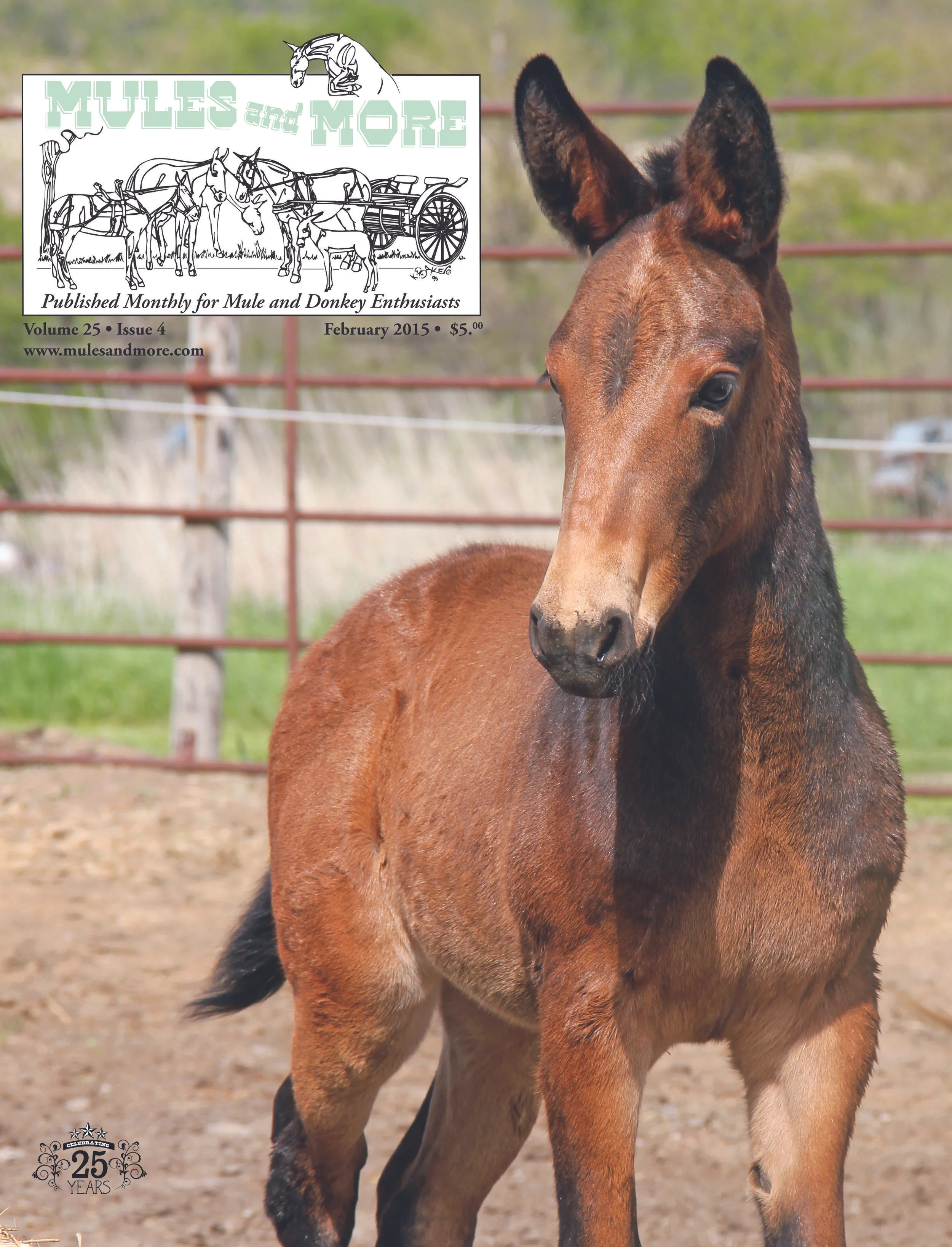 New Arrivals! — Mules and More Magazine