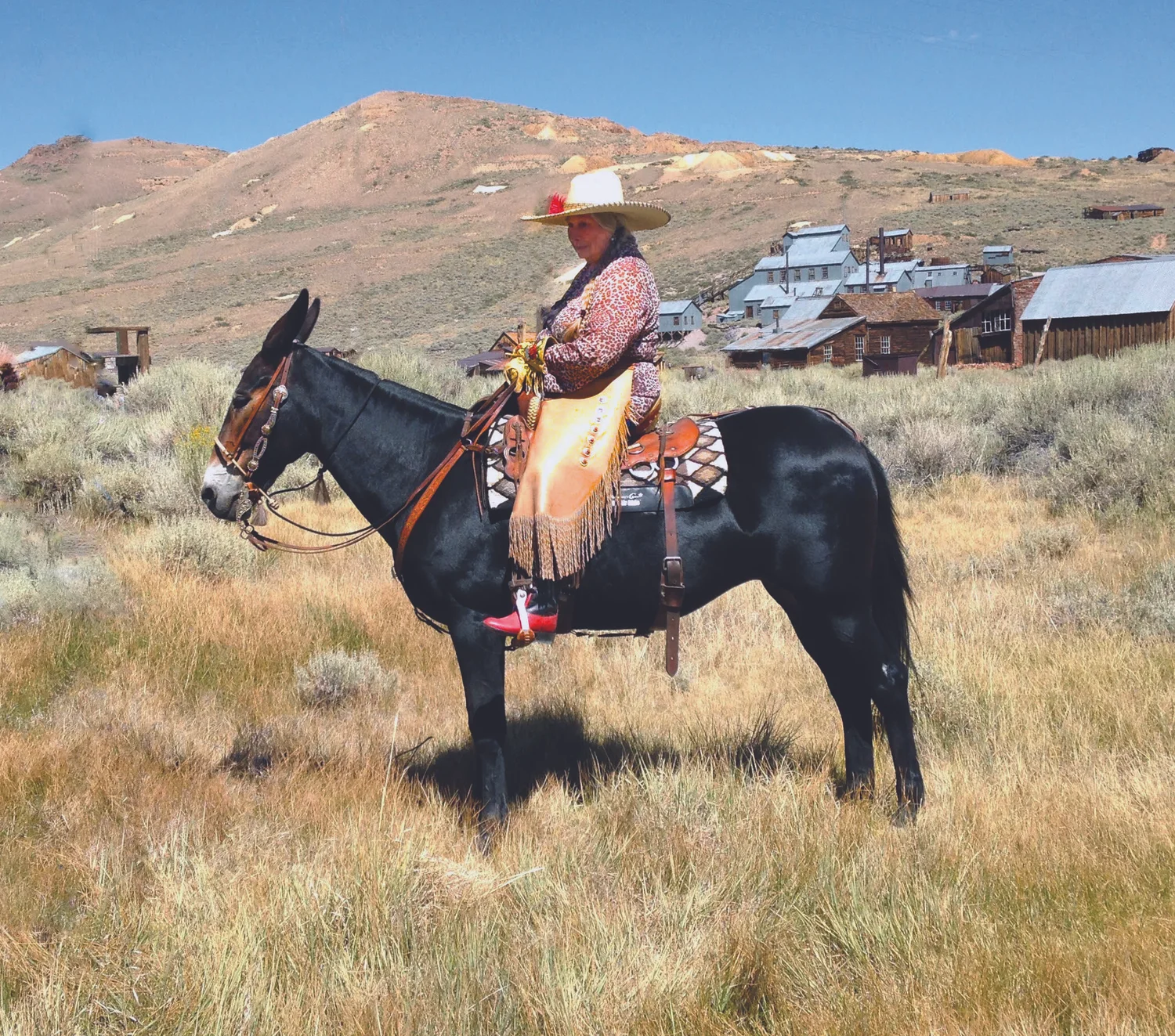 Trail Riding Tips from the 2019 Trail Riding Issue! — Mules and More ...