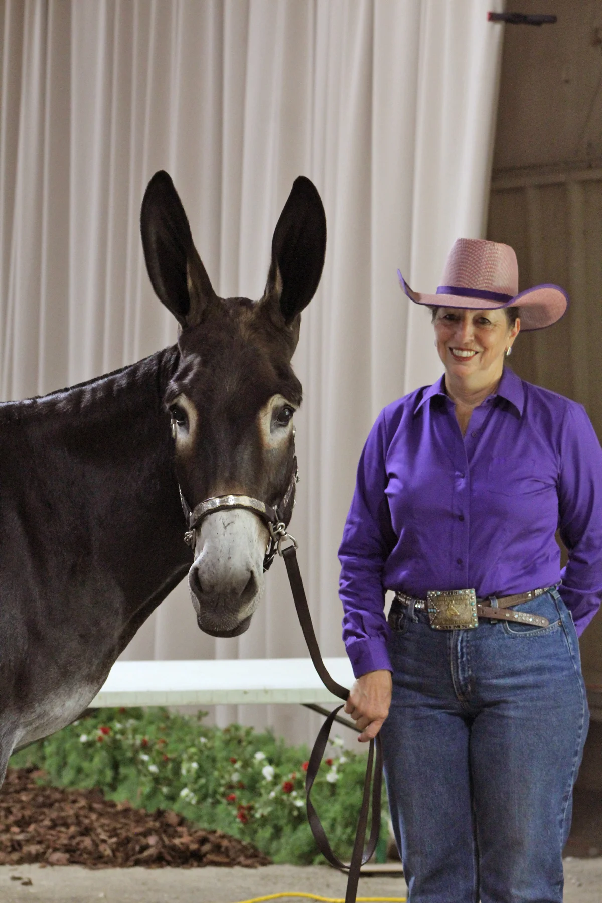 The 2019 Great Celebration Mule & Donkey Show — Mules and More Magazine