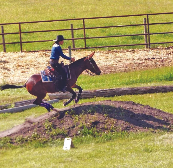 Mule Competes in Extreme Cowboy Racing Futurity — Mules and More Magazine